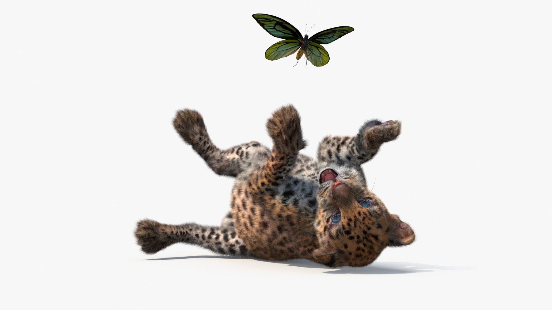 3D Playful Leopard Cub With Butterfly Fur Model - TurboSquid 2348840