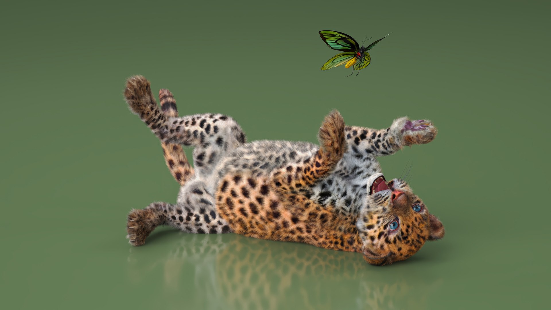 3D Playful Leopard Cub With Butterfly Fur Model - TurboSquid 2348840