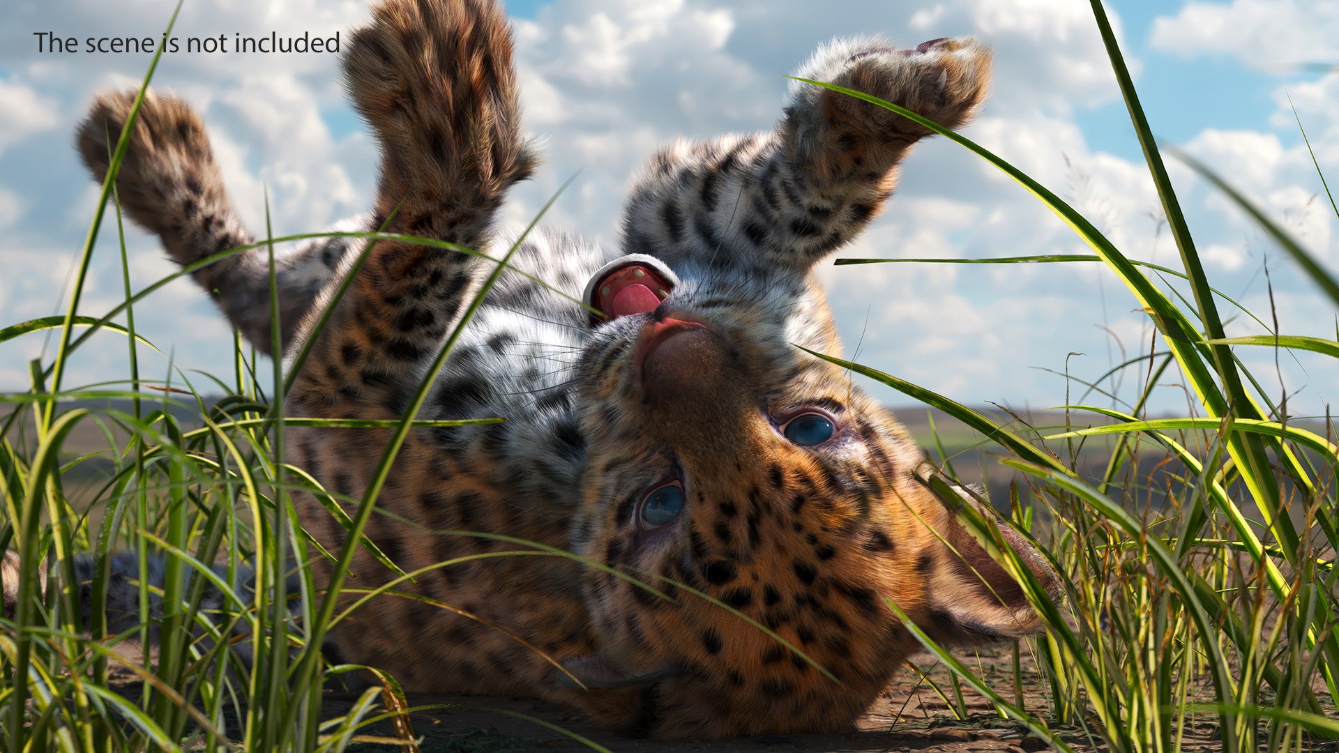 3D Playful Leopard Cub With Butterfly Fur Model - TurboSquid 2348840