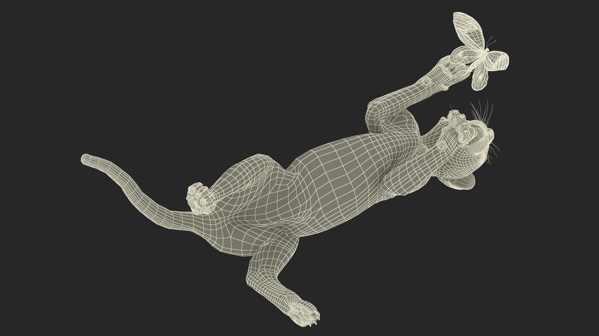 3D Playful Leopard Cub With Butterfly Fur Model - TurboSquid 2348840