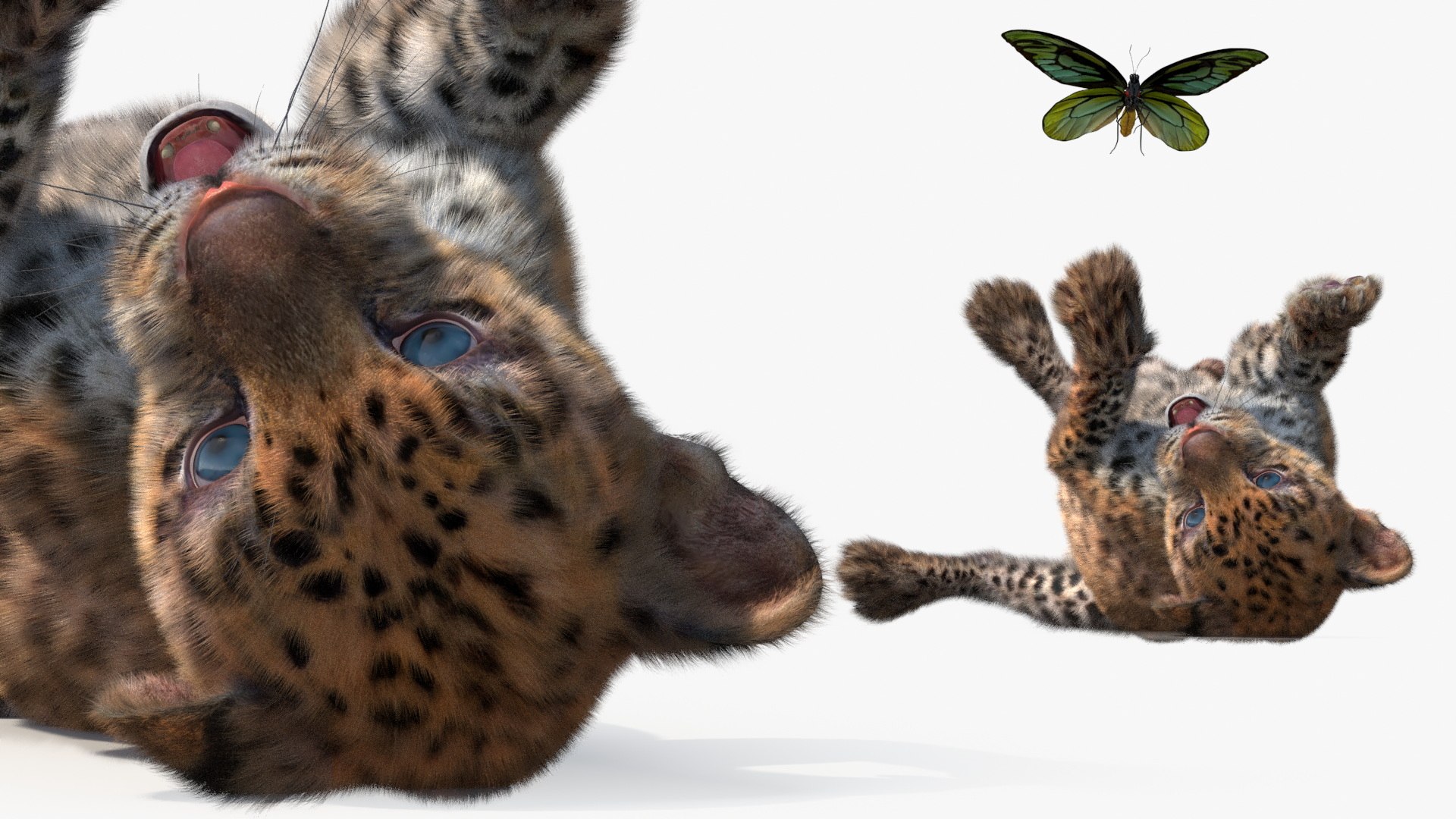 3D Playful Leopard Cub With Butterfly Fur Model - TurboSquid 2348840