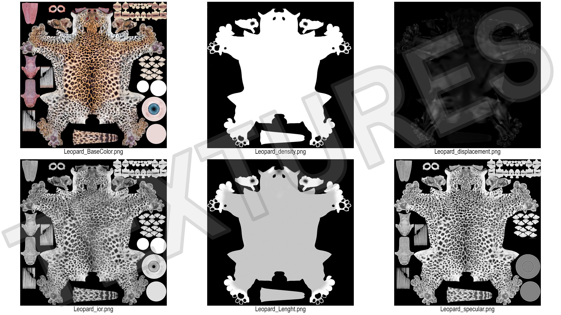 3D Playful Leopard Cub With Butterfly Fur Model - TurboSquid 2348840