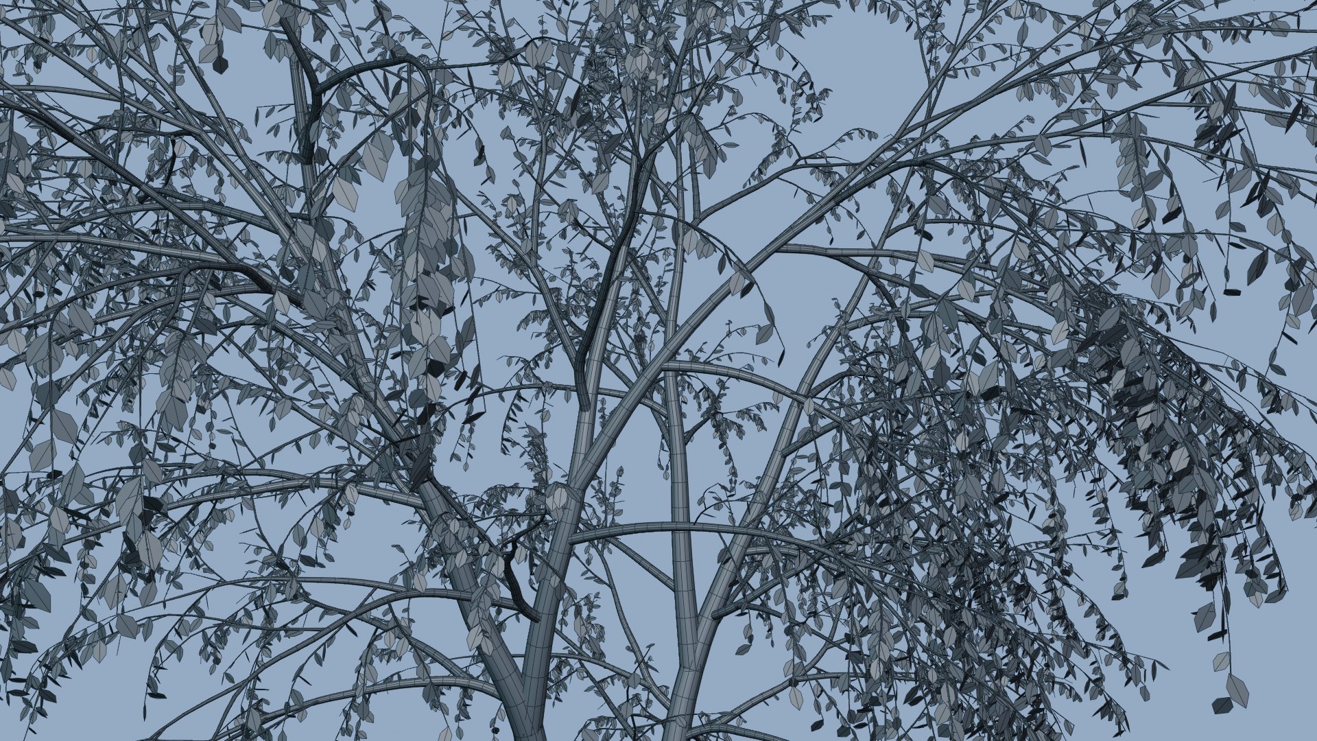 Aspen Model - TurboSquid 1977544