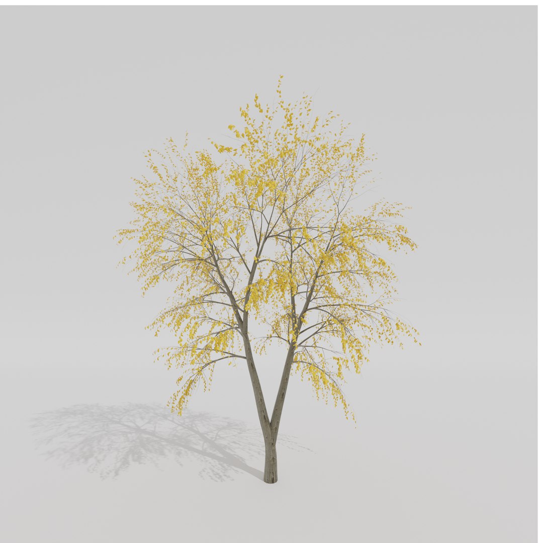 Aspen Model - TurboSquid 1977544