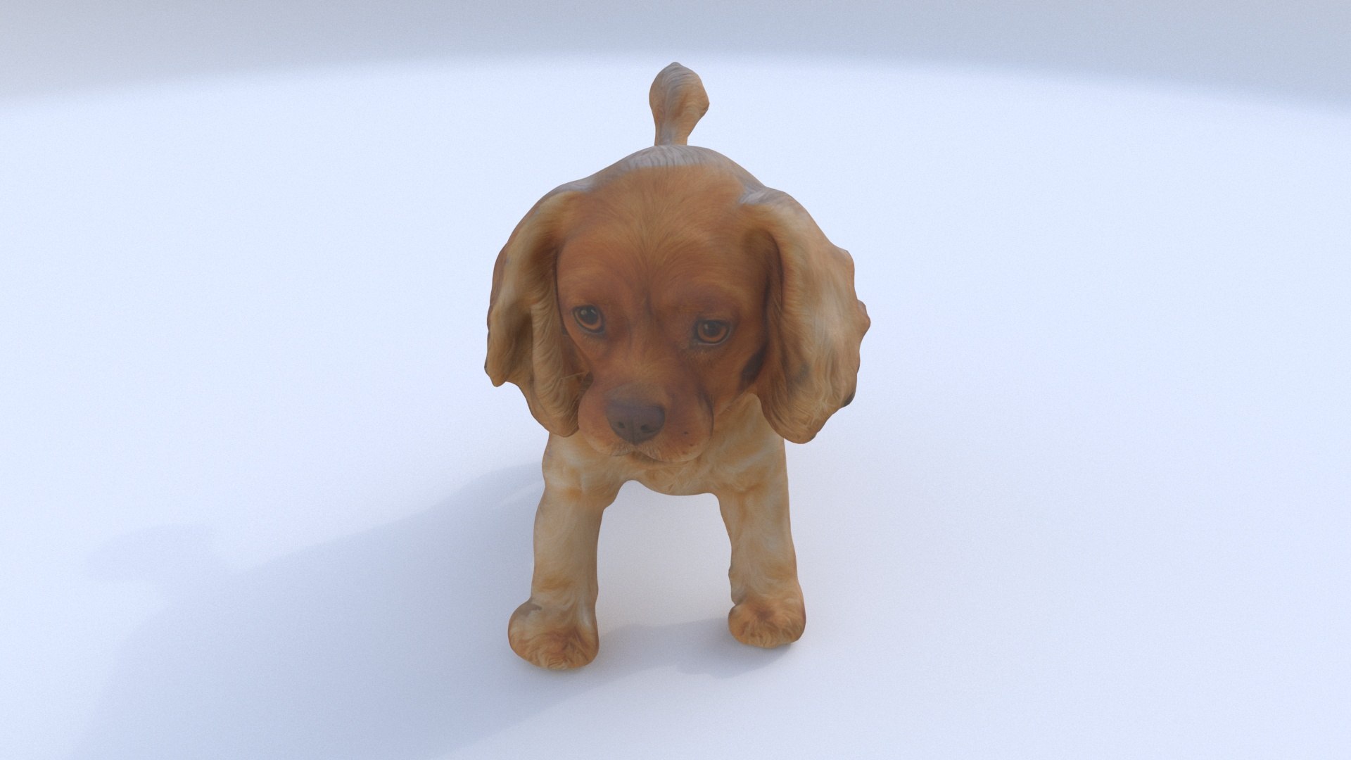 3D Model Cocker Spaniel - TurboSquid 2333742