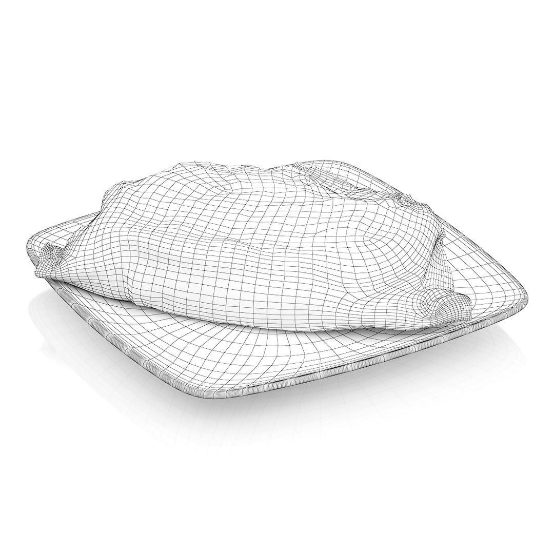 3d Scanned Beef Tortilla Model