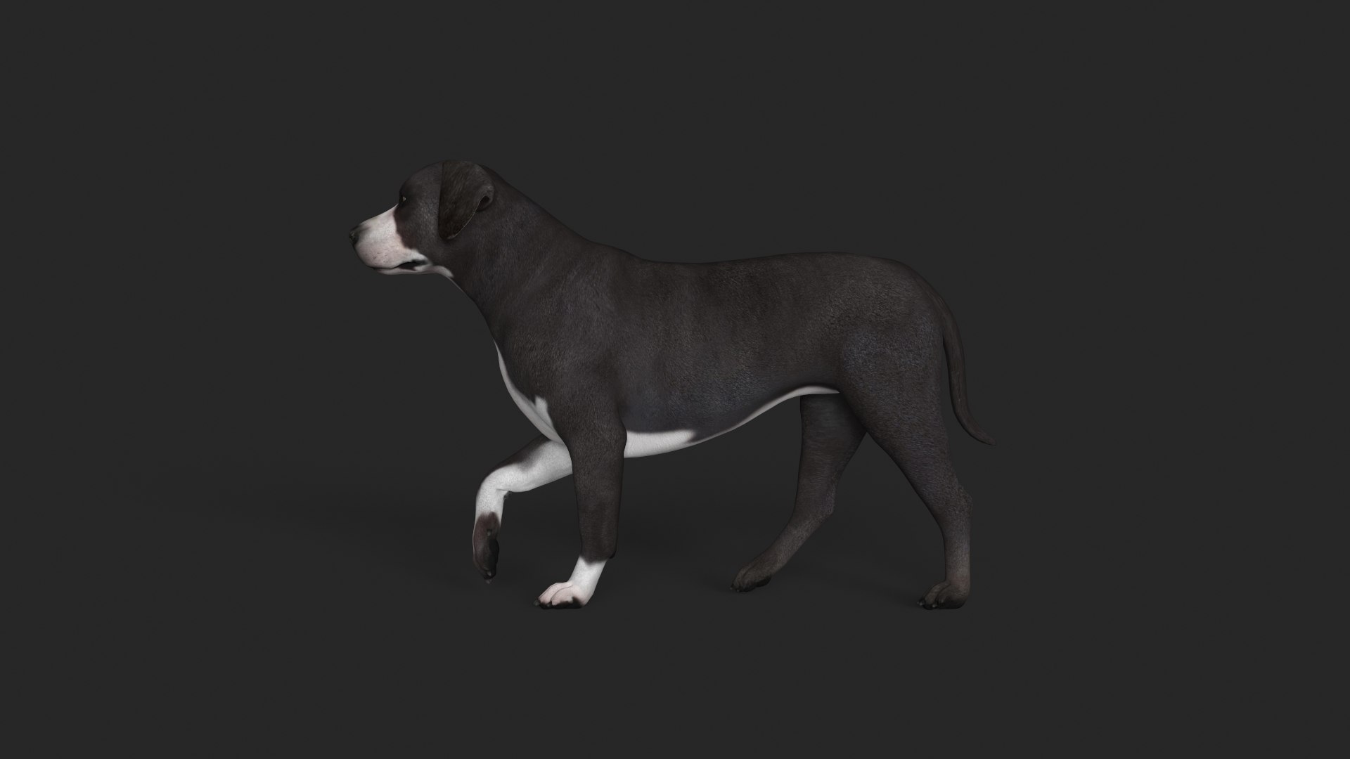 3D LAB-032 Dog Walking Model - TurboSquid 1914832