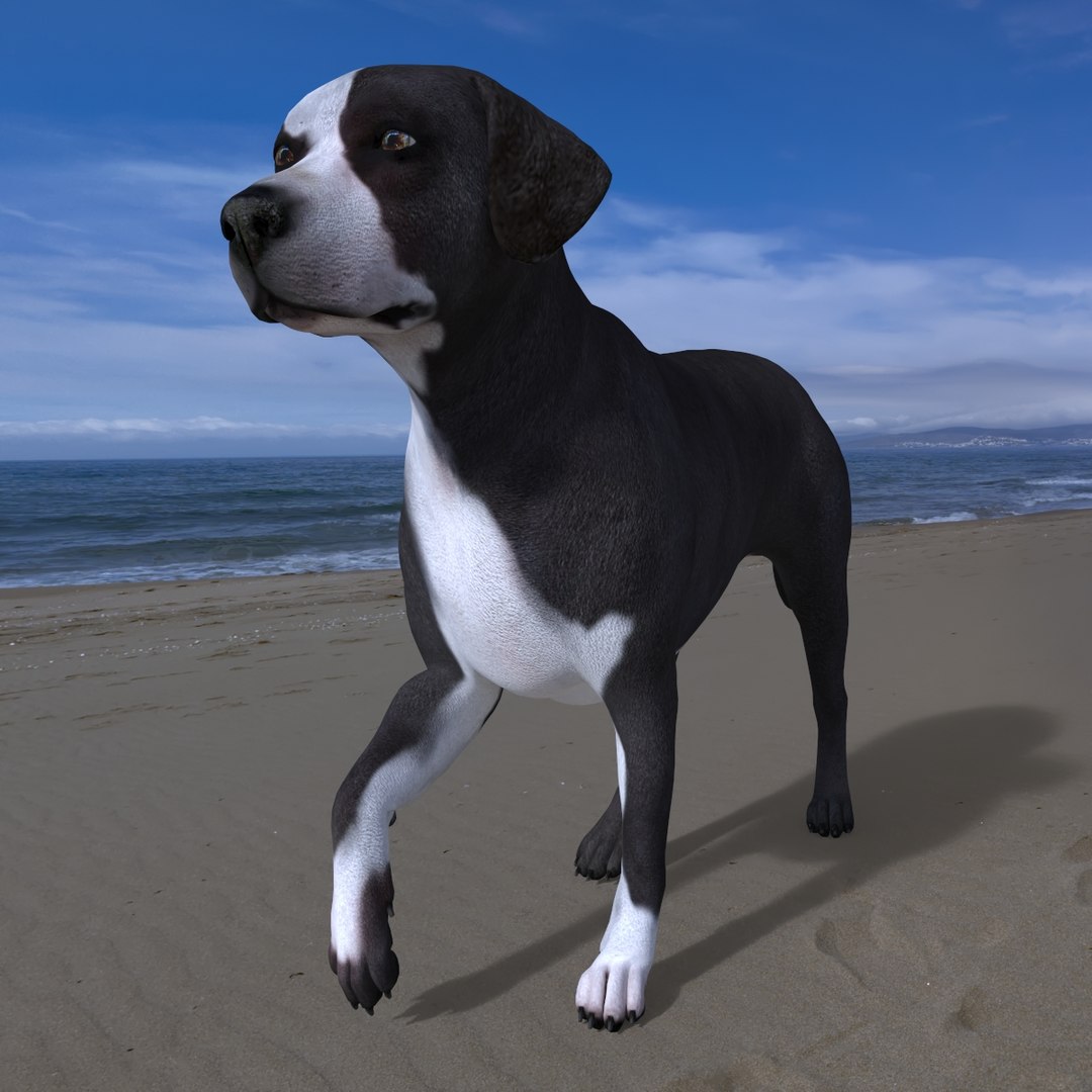 3D LAB-032 Dog Walking Model - TurboSquid 1914832