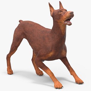 Rigged Dog 3D Models For Download | TurboSquid