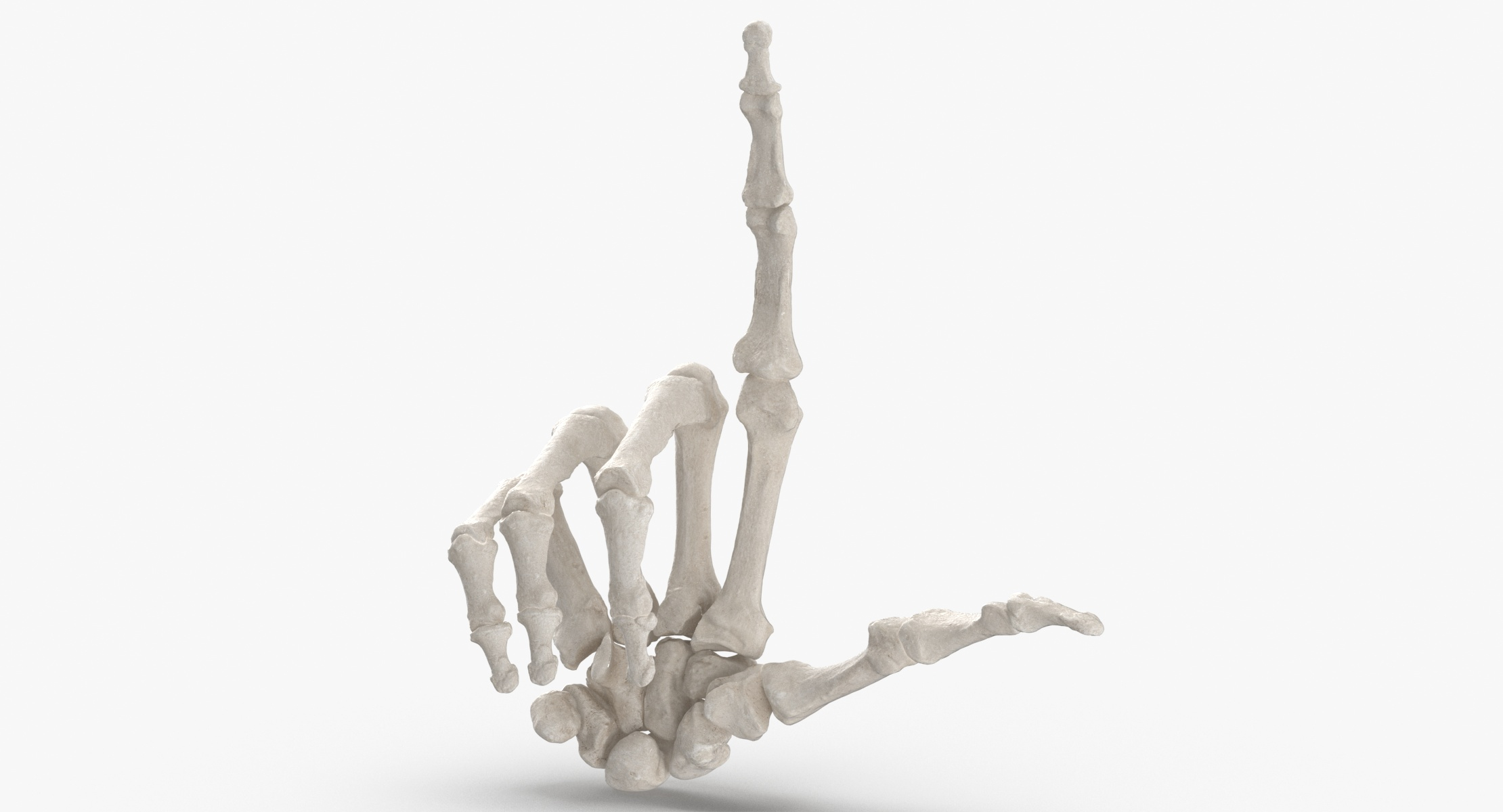 modelo 3d Human Hand Bones Loser Sign White and Yellow Collection 01 ...