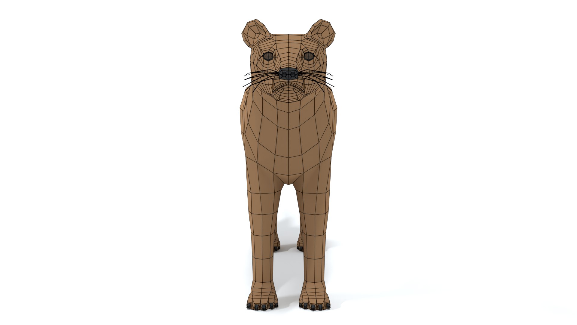 Low Poly Cartoon Fossa 3D Model - TurboSquid 1823426