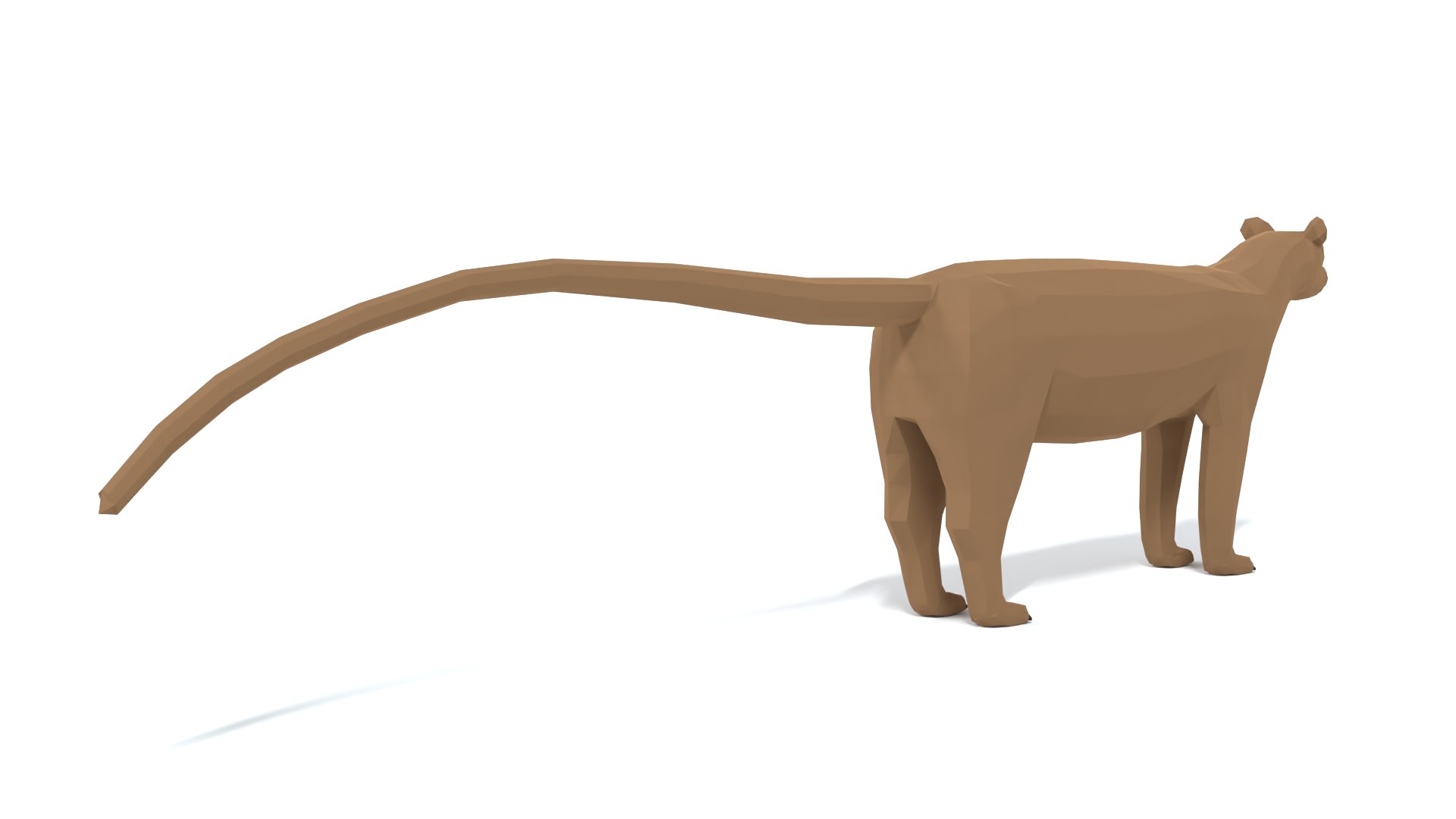 Low Poly Cartoon Fossa 3D Model - TurboSquid 1823426