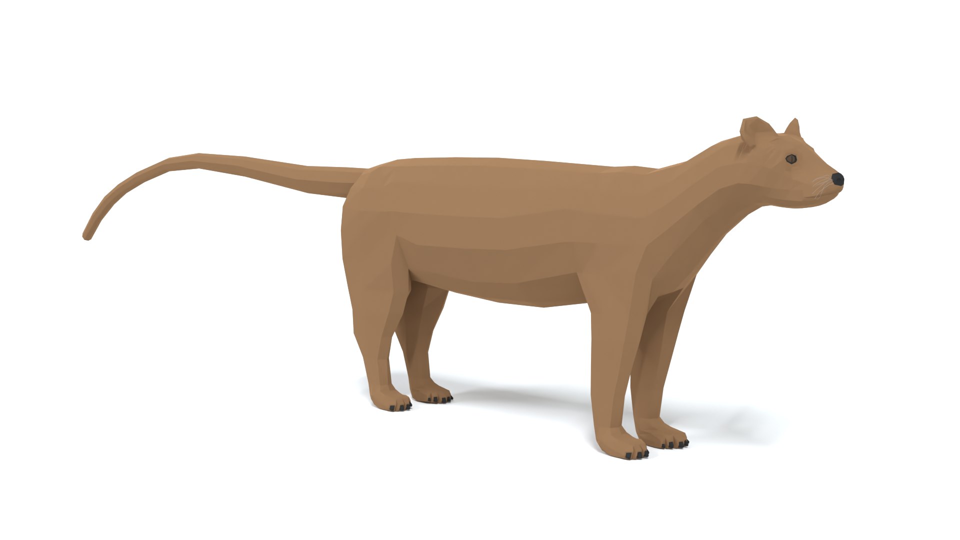 Low Poly Cartoon Fossa 3D Model - TurboSquid 1823426