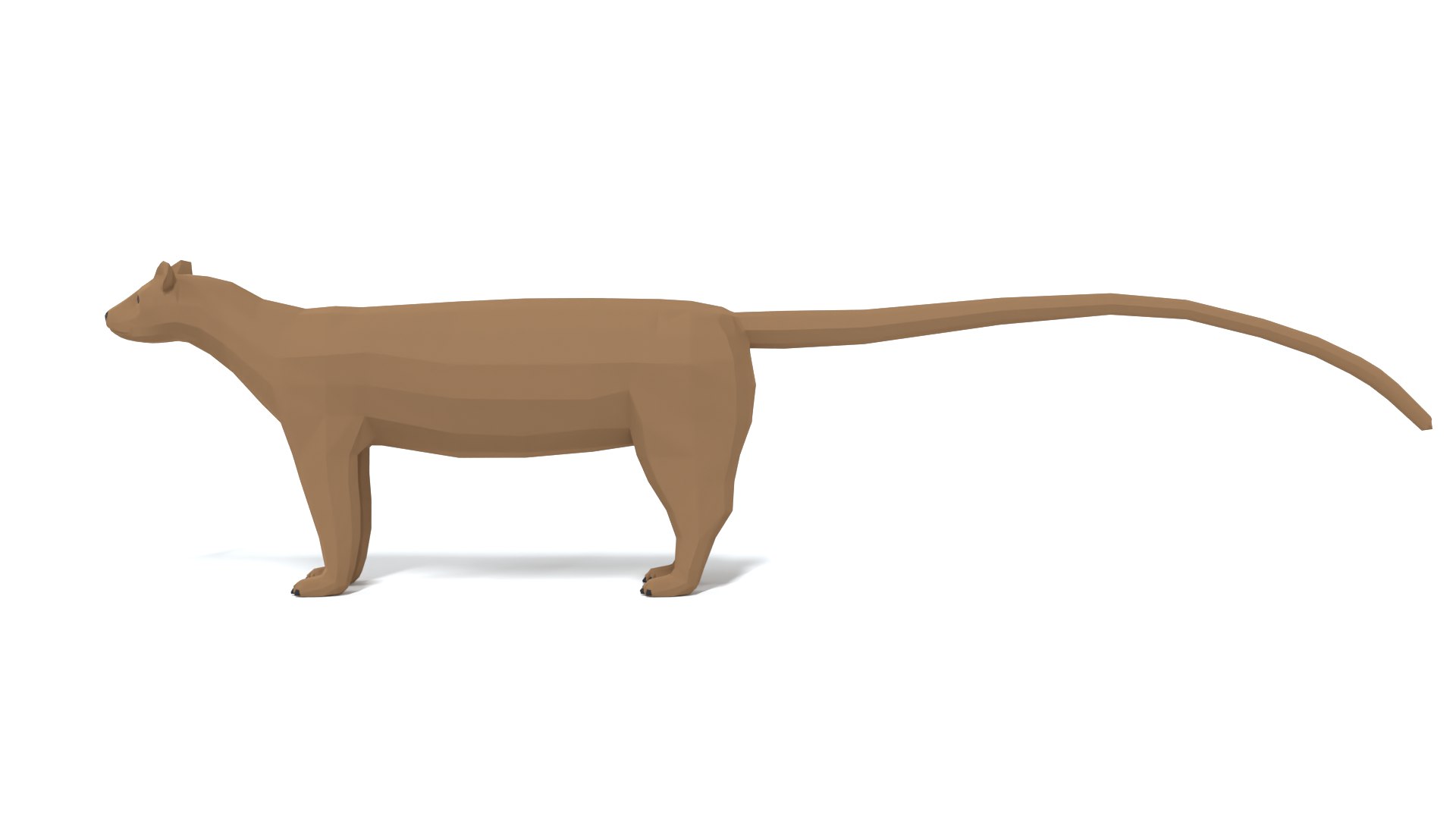 Low Poly Cartoon Fossa 3D Model - TurboSquid 1823426