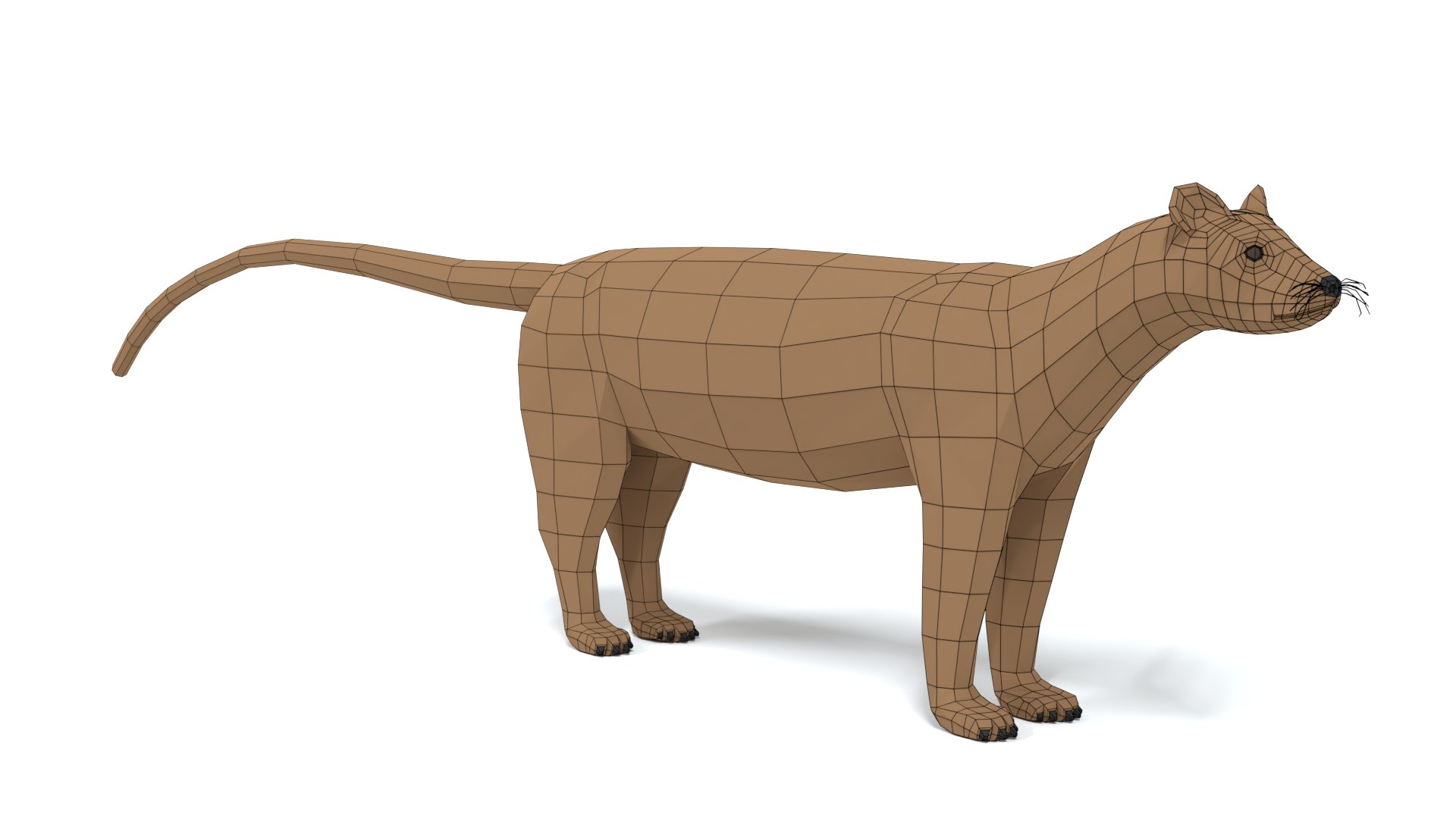 Low Poly Cartoon Fossa 3D Model - TurboSquid 1823426