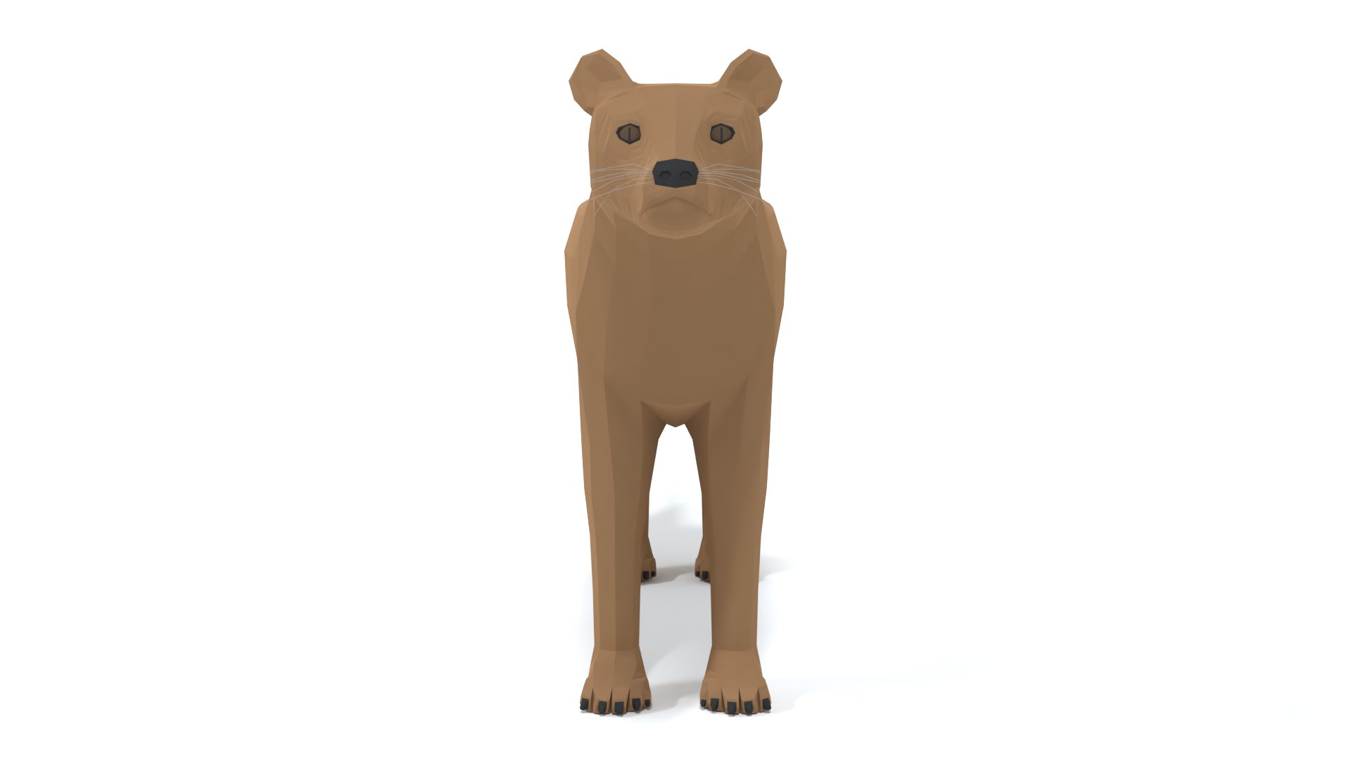 Low Poly Cartoon Fossa 3D Model - TurboSquid 1823426
