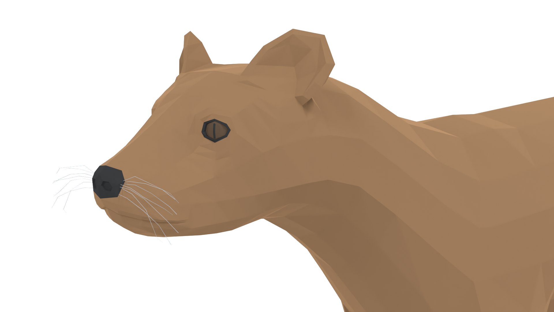 Low Poly Cartoon Fossa 3D Model - TurboSquid 1823426