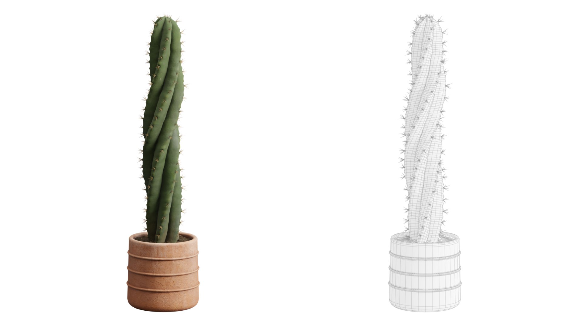 Cactus Pack 3D - TurboSquid 2116060