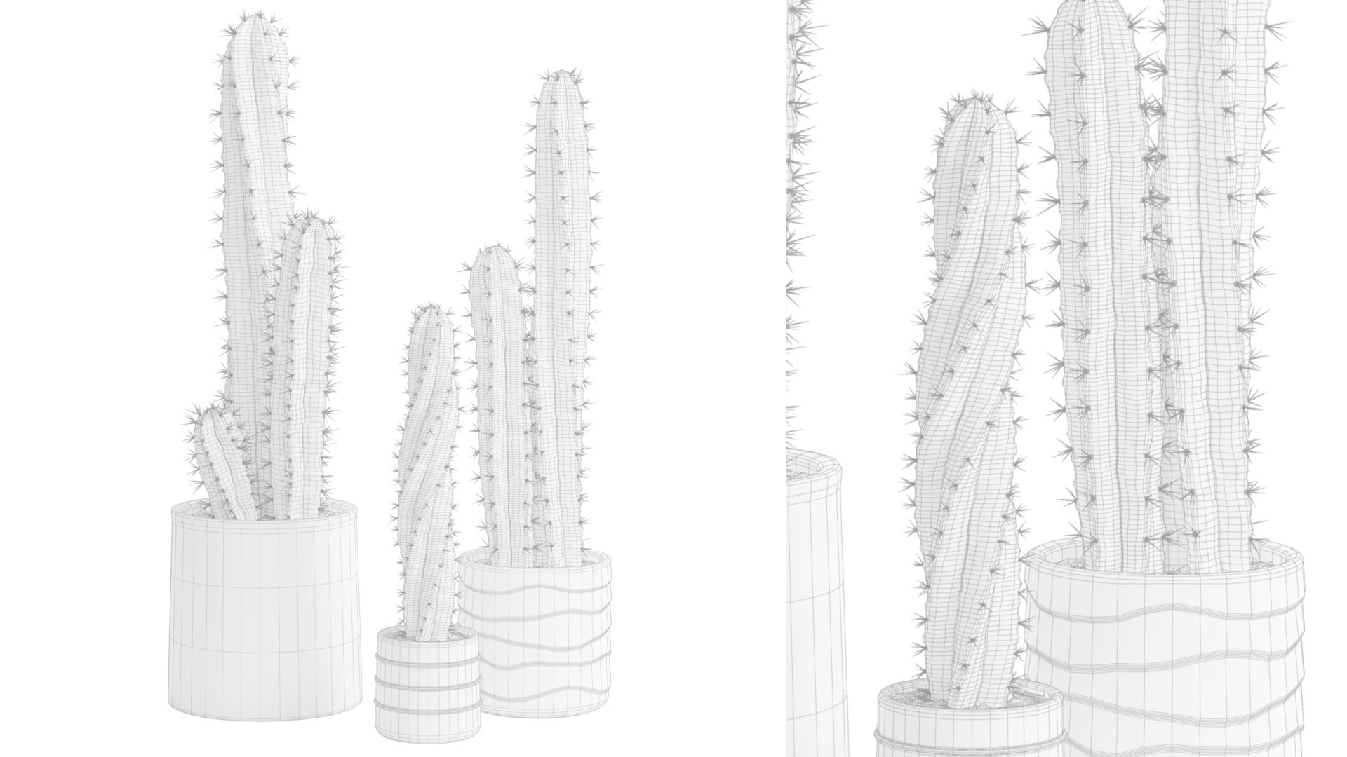 Cactus Pack 3D - TurboSquid 2116060