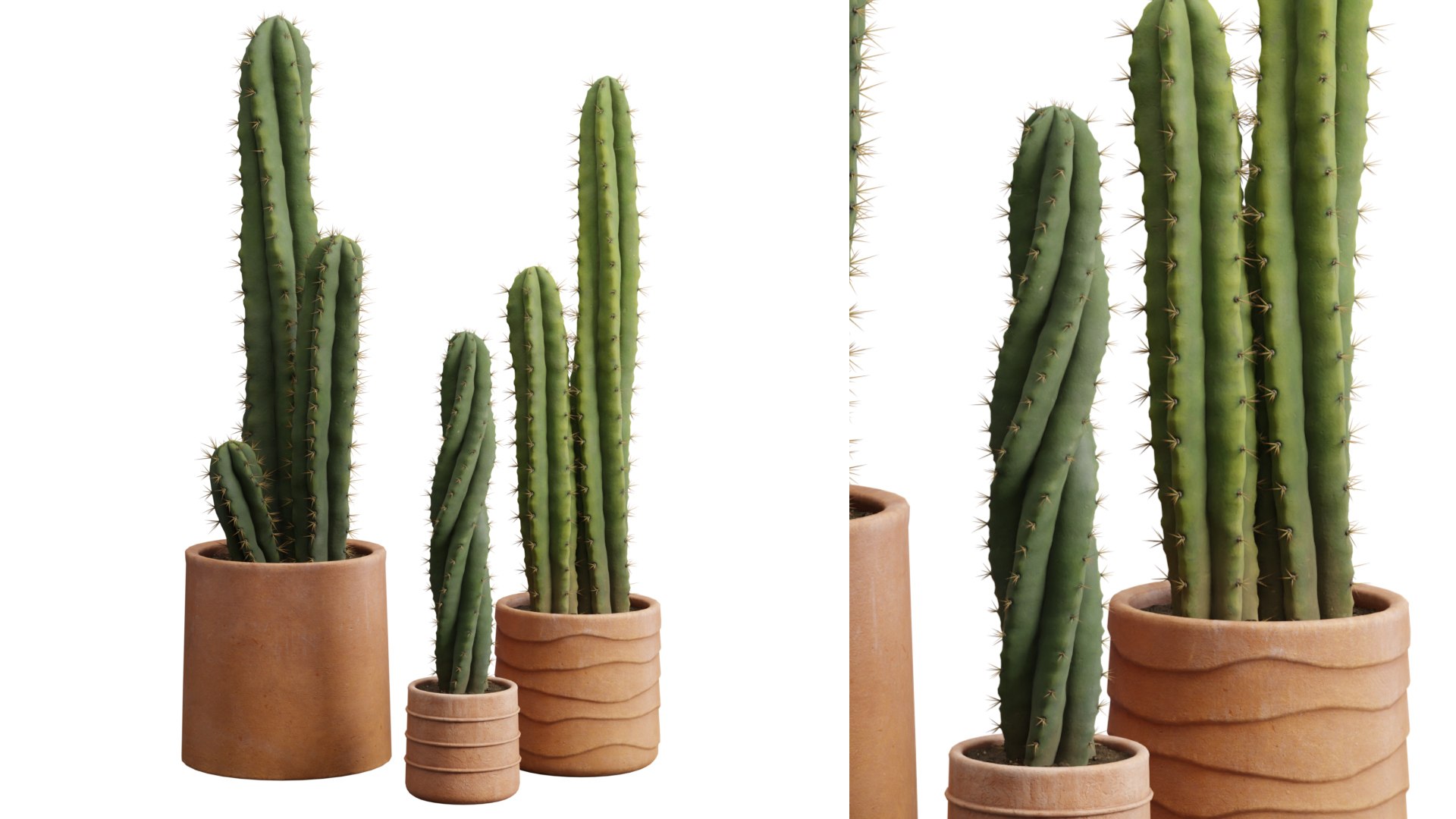 Cactus Pack 3D - TurboSquid 2116060