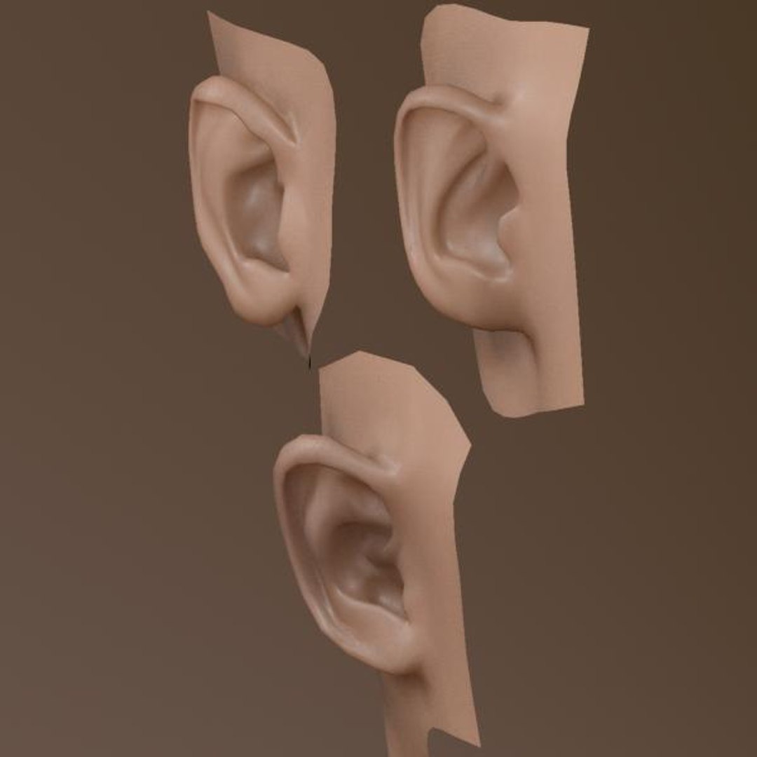 3d Model Ears People Mind