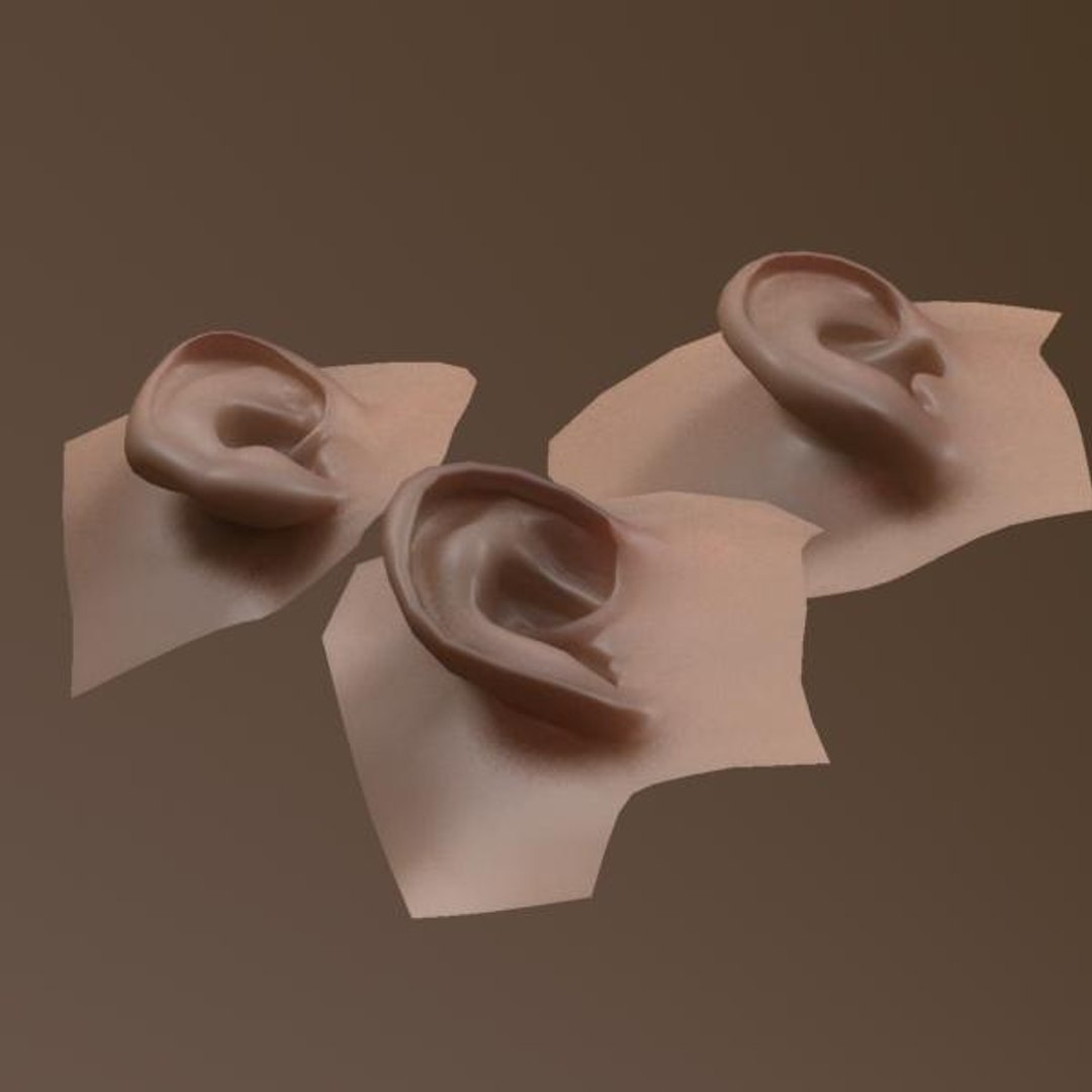 3d Model Ears People Mind