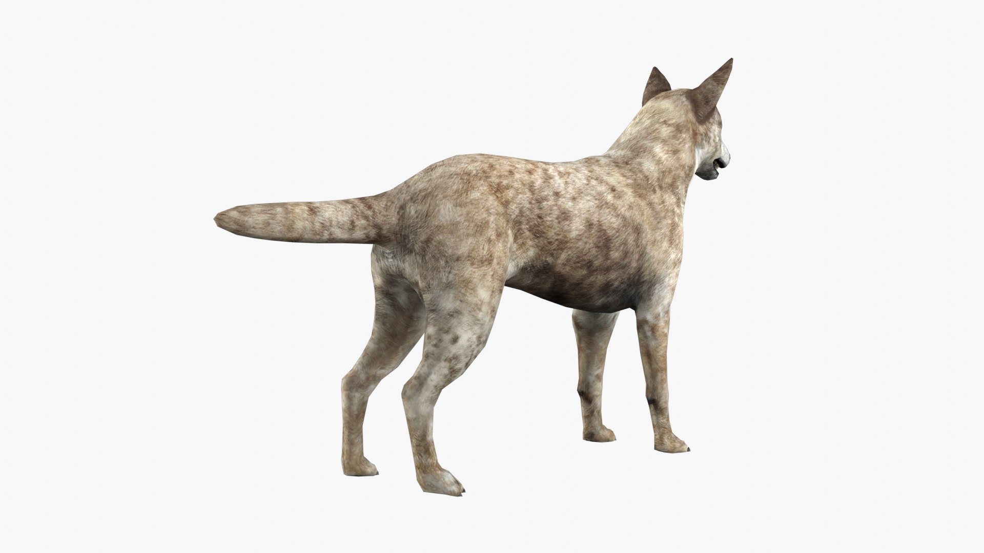 3D Model Rabid Dog RIGGED - TurboSquid 2330451