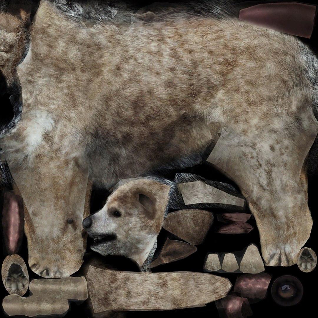 3D Model Rabid Dog RIGGED - TurboSquid 2330451