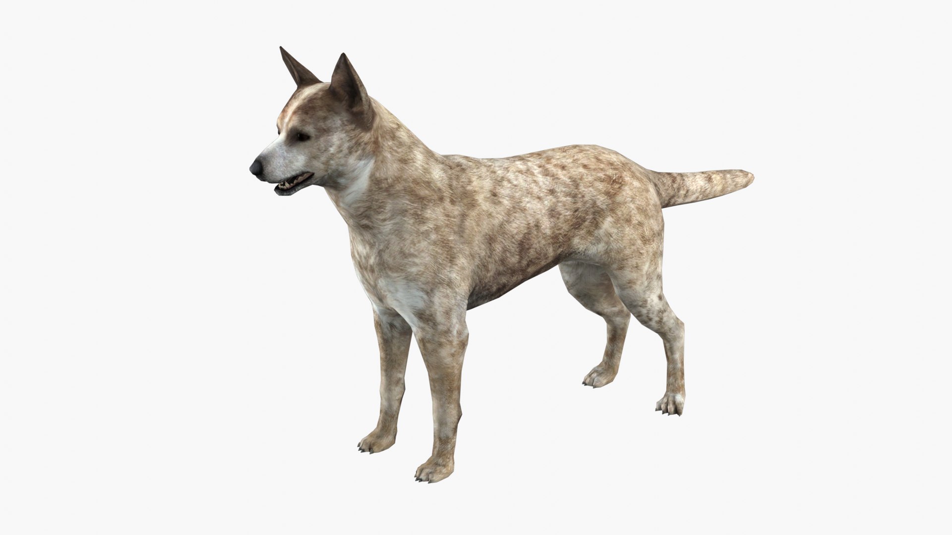 3D Model Rabid Dog RIGGED - TurboSquid 2330451