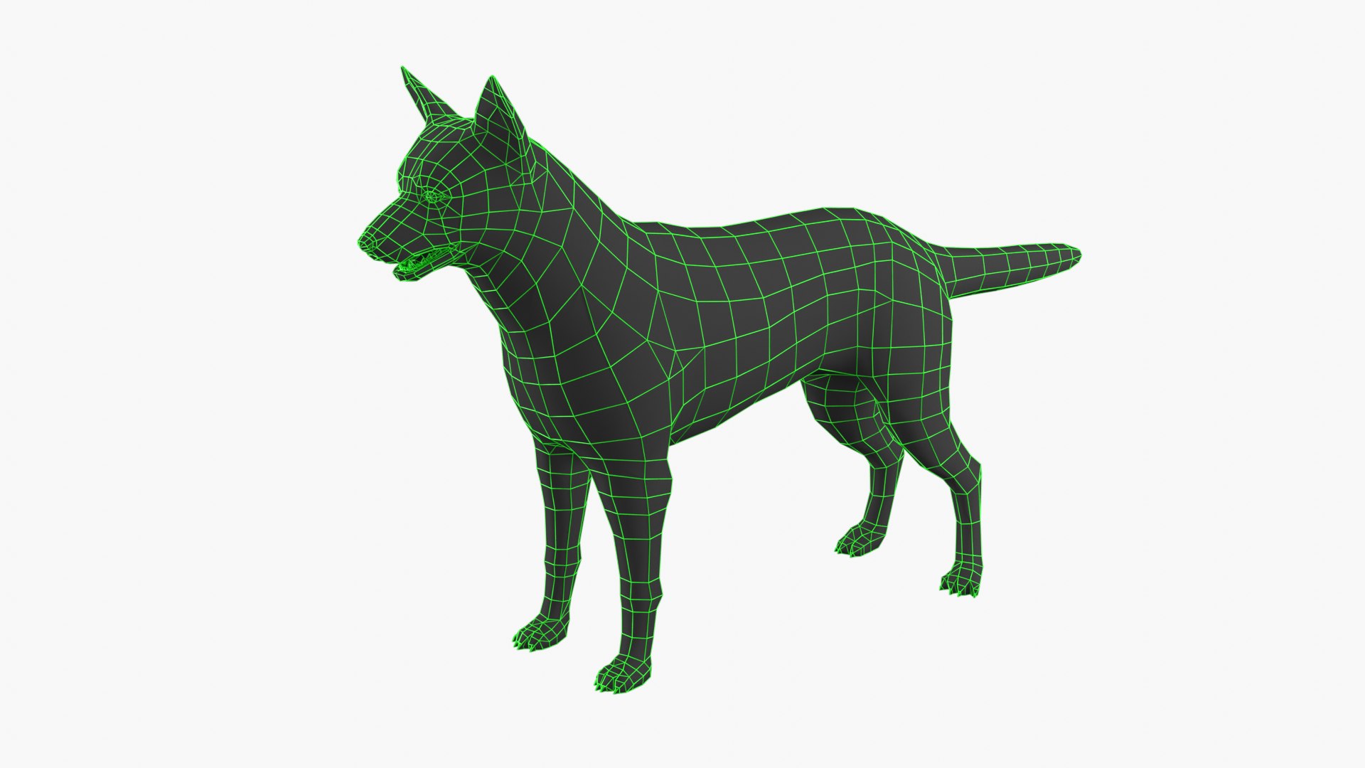 3D Model Rabid Dog RIGGED - TurboSquid 2330451