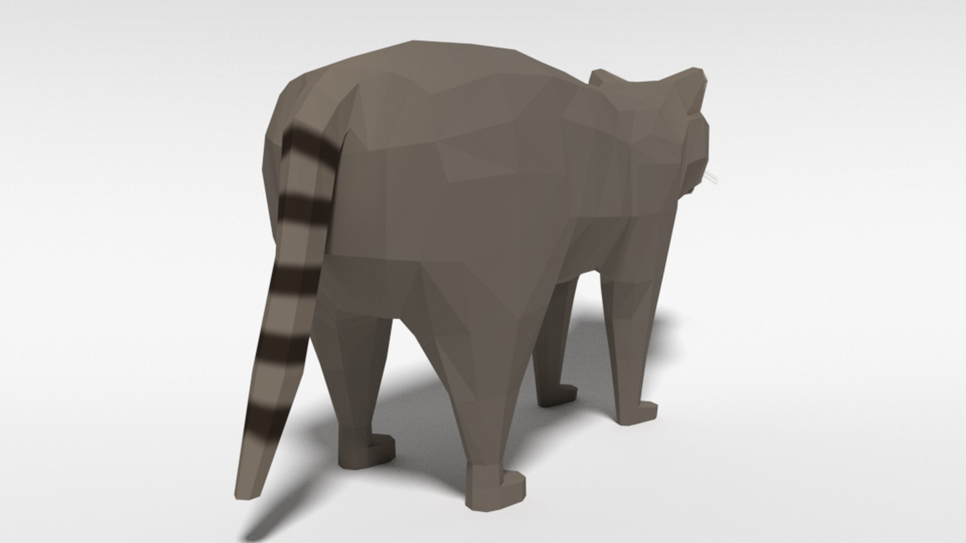 3D Raccoon Nature Model - TurboSquid 1472836