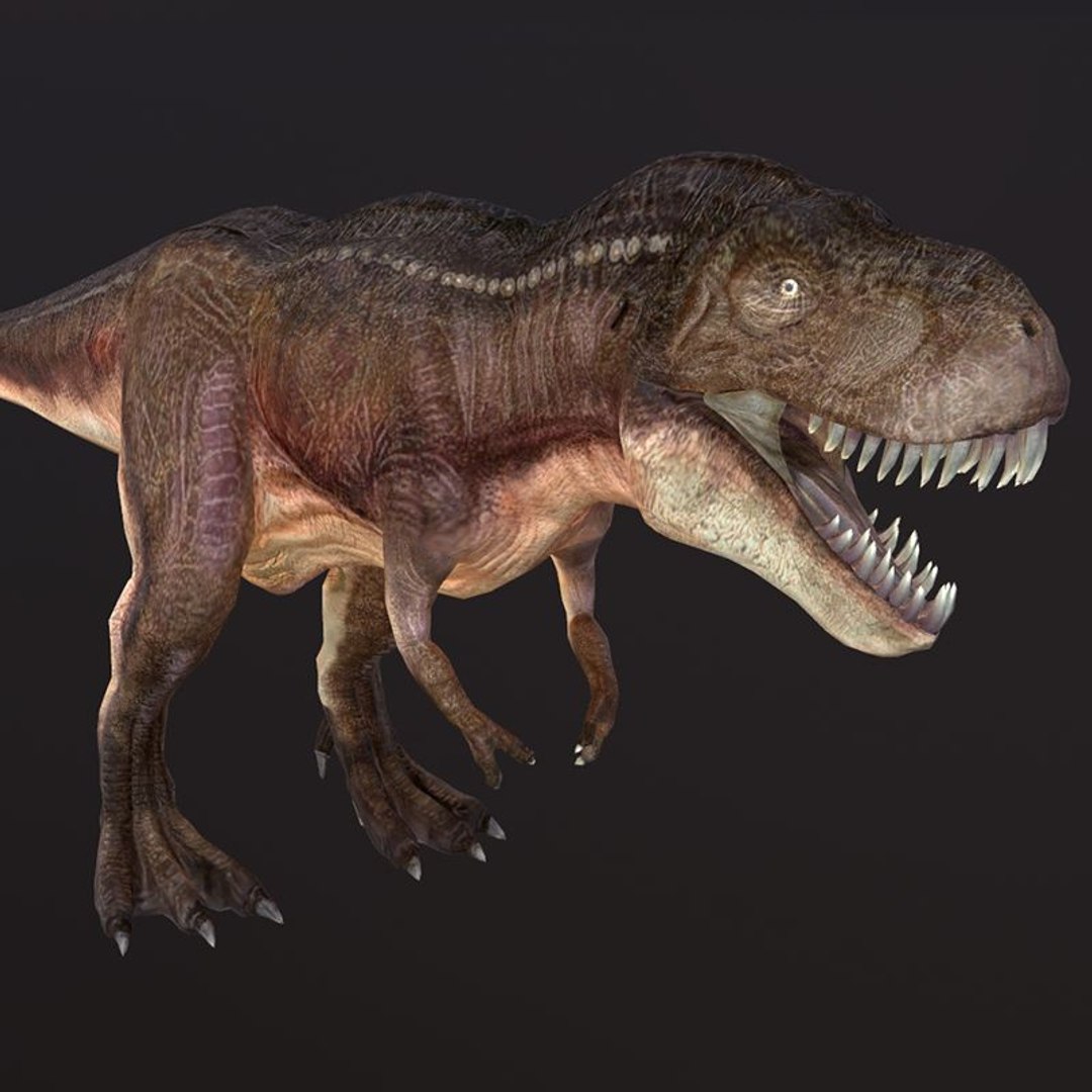 3D Carnivore Predator Model - TurboSquid 1391145