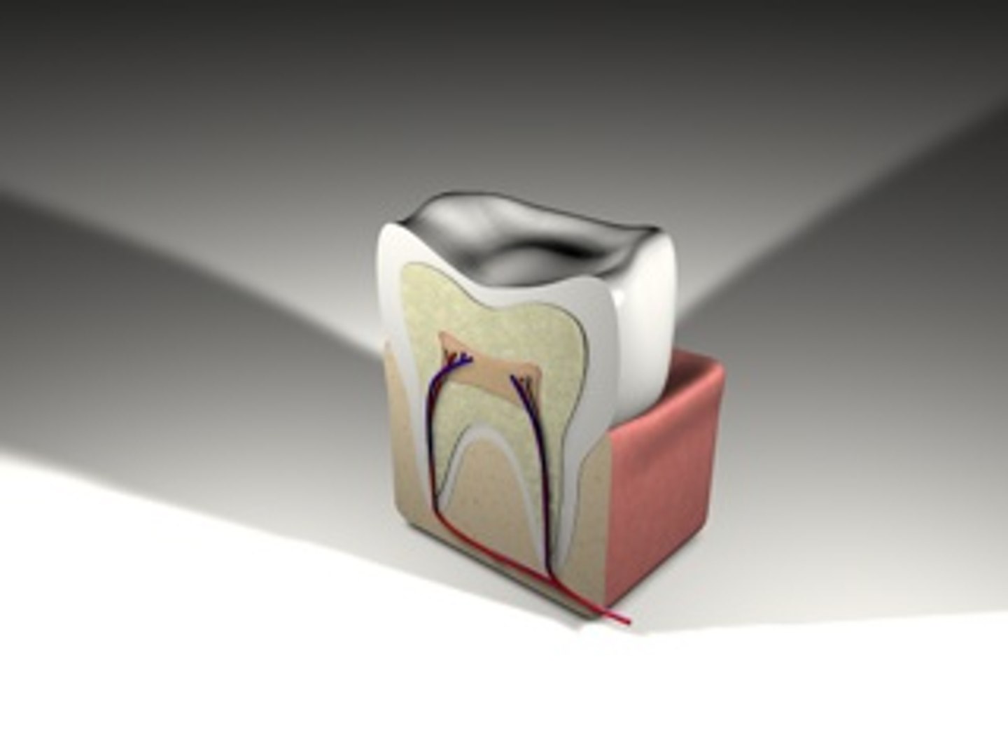 Scientific Tooth 3d C4d