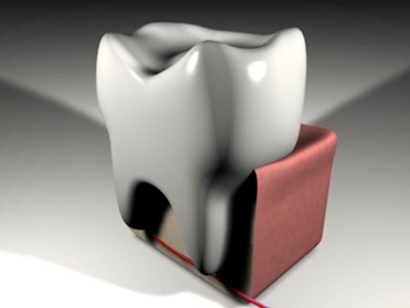 Scientific Tooth 3d C4d