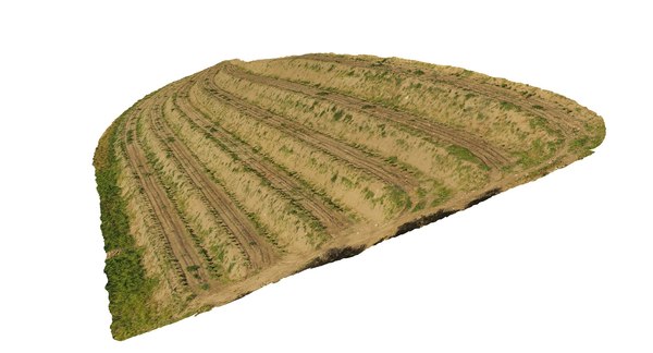 Vineyard 3D Models for Download | TurboSquid