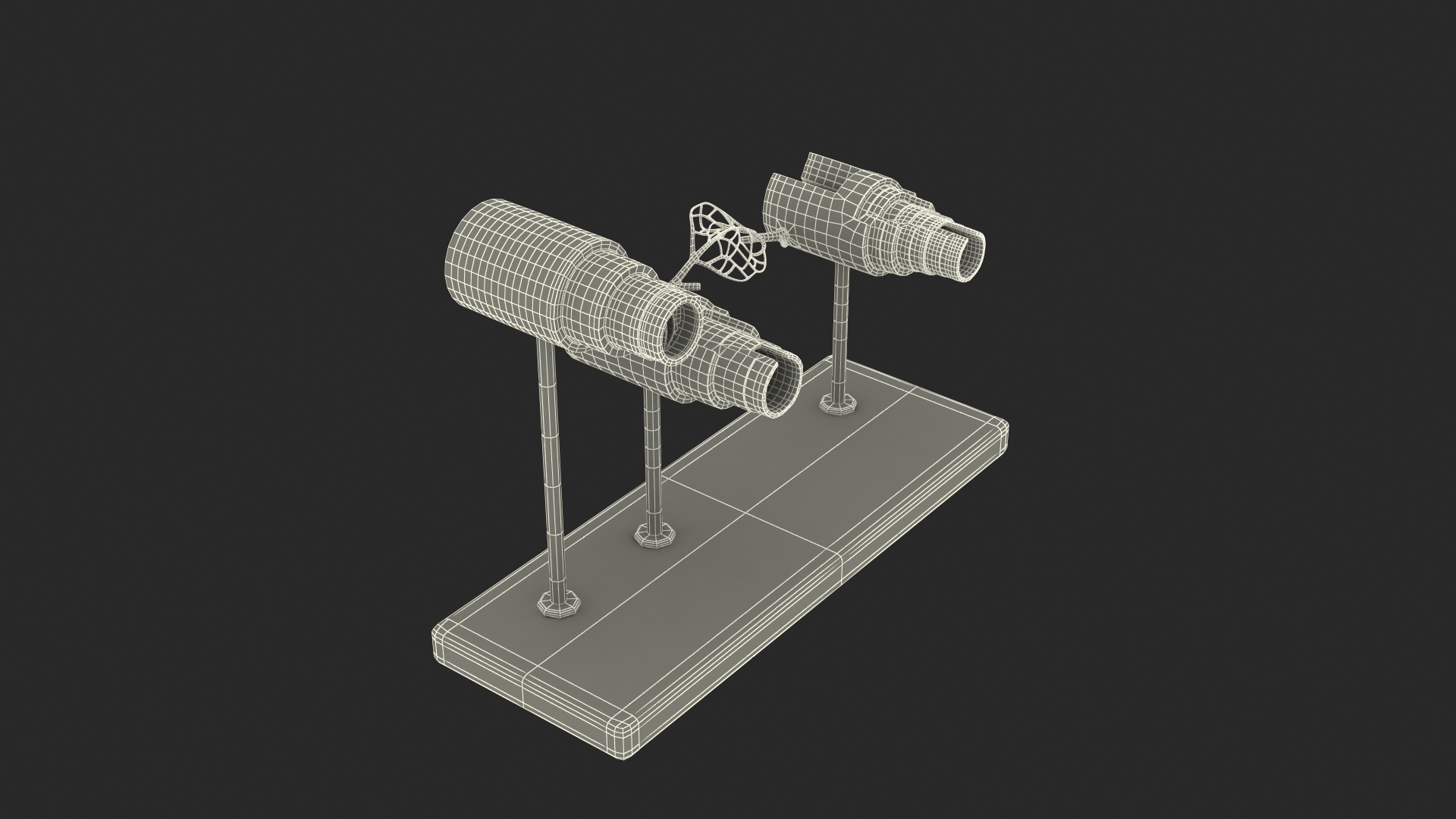 Anatomical Model Blood Vessels And Vein In Section On Shaft 3D ...