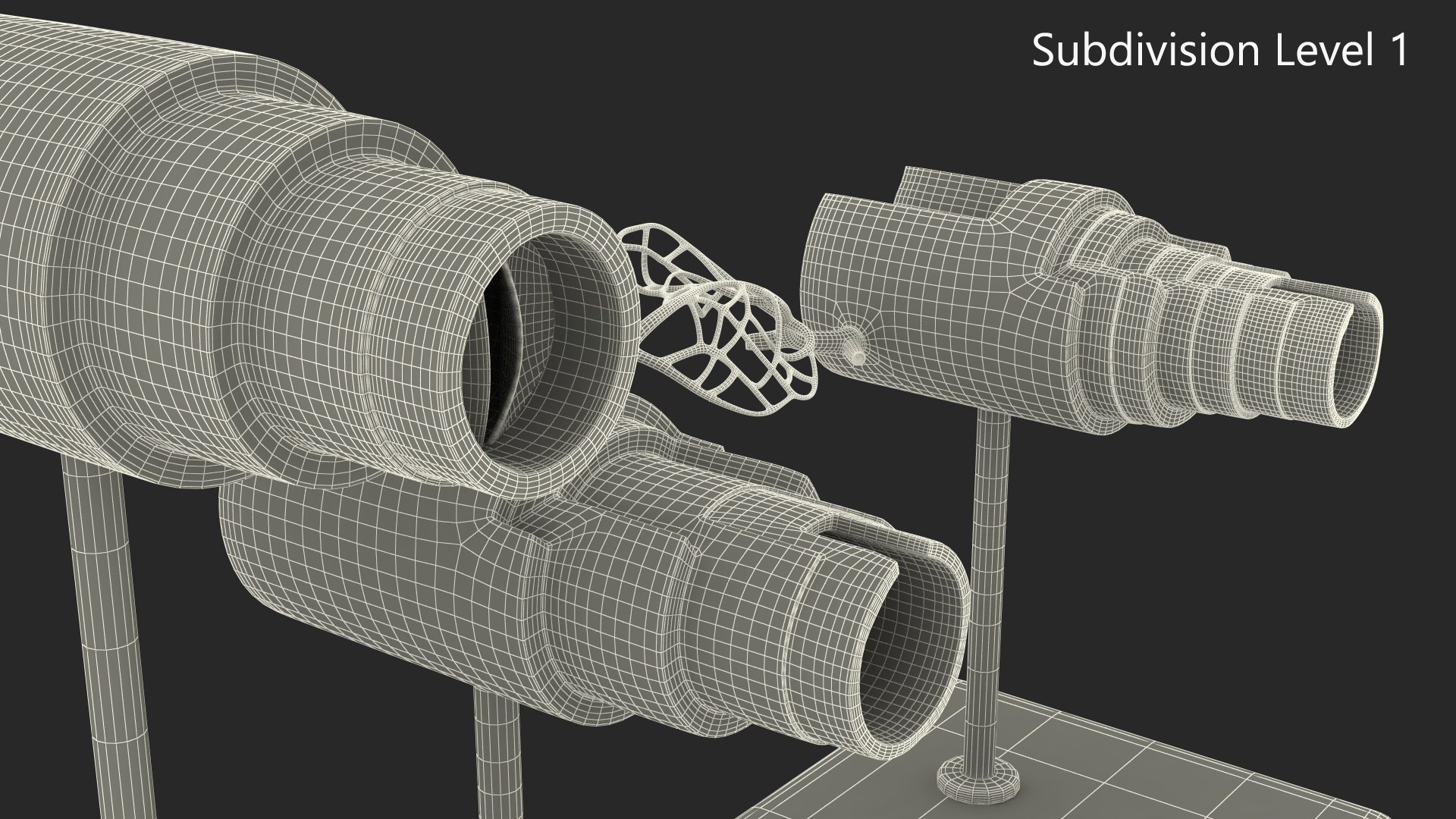 Anatomical Model Blood Vessels And Vein In Section On Shaft 3D ...