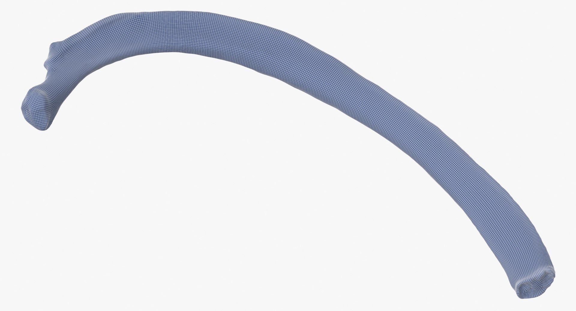 Bear Ursus Rib T3 Model - TurboSquid 2134267