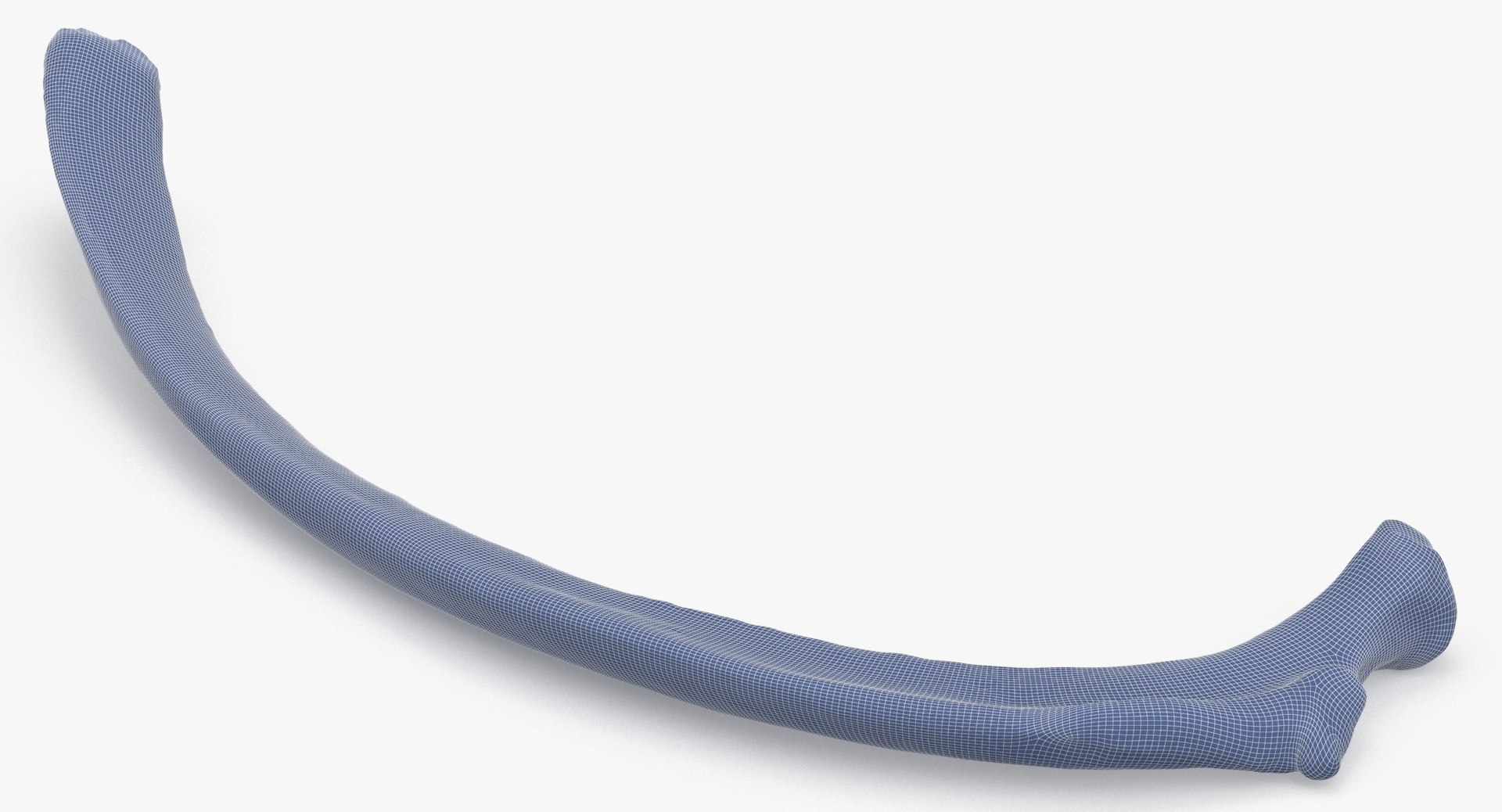 Bear Ursus Rib T3 Model - TurboSquid 2134267