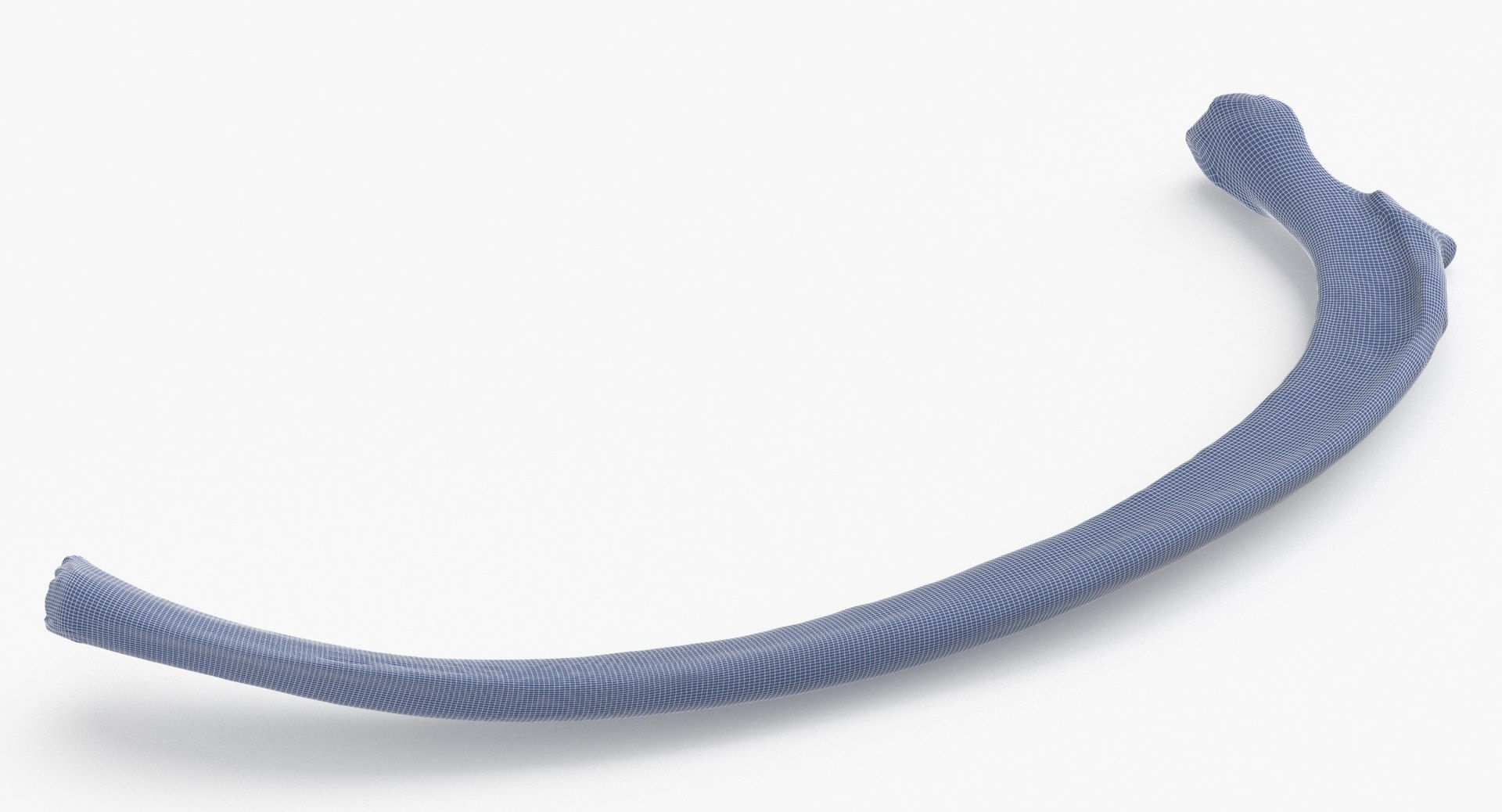 Bear Ursus Rib T3 Model - TurboSquid 2134267