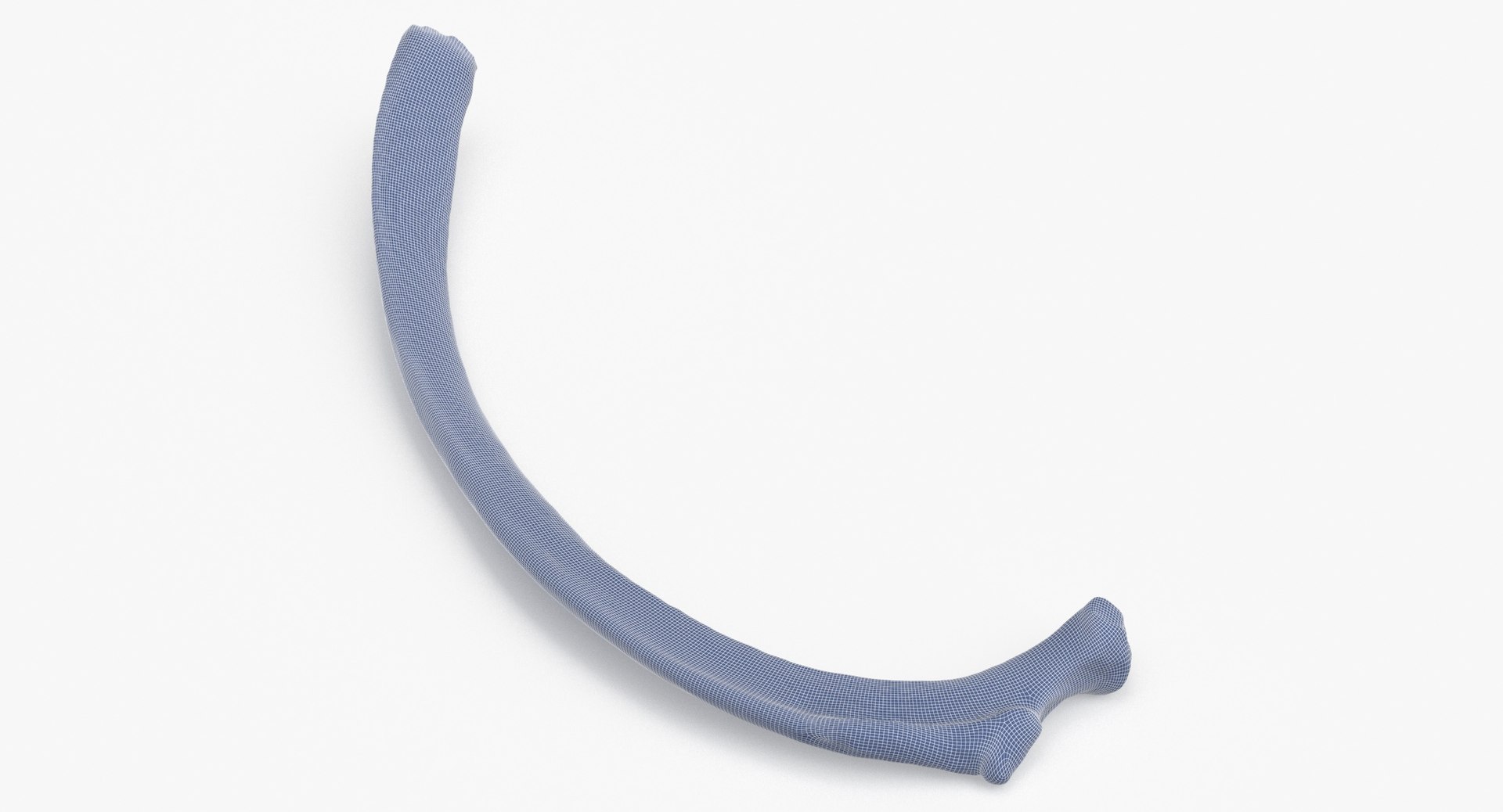 Bear Ursus Rib T3 Model - TurboSquid 2134267