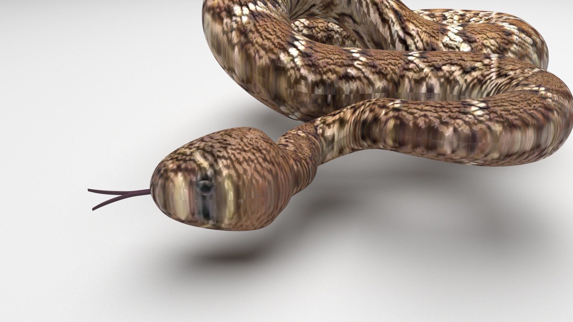 Viper Snake 3D Model - TurboSquid 2245595