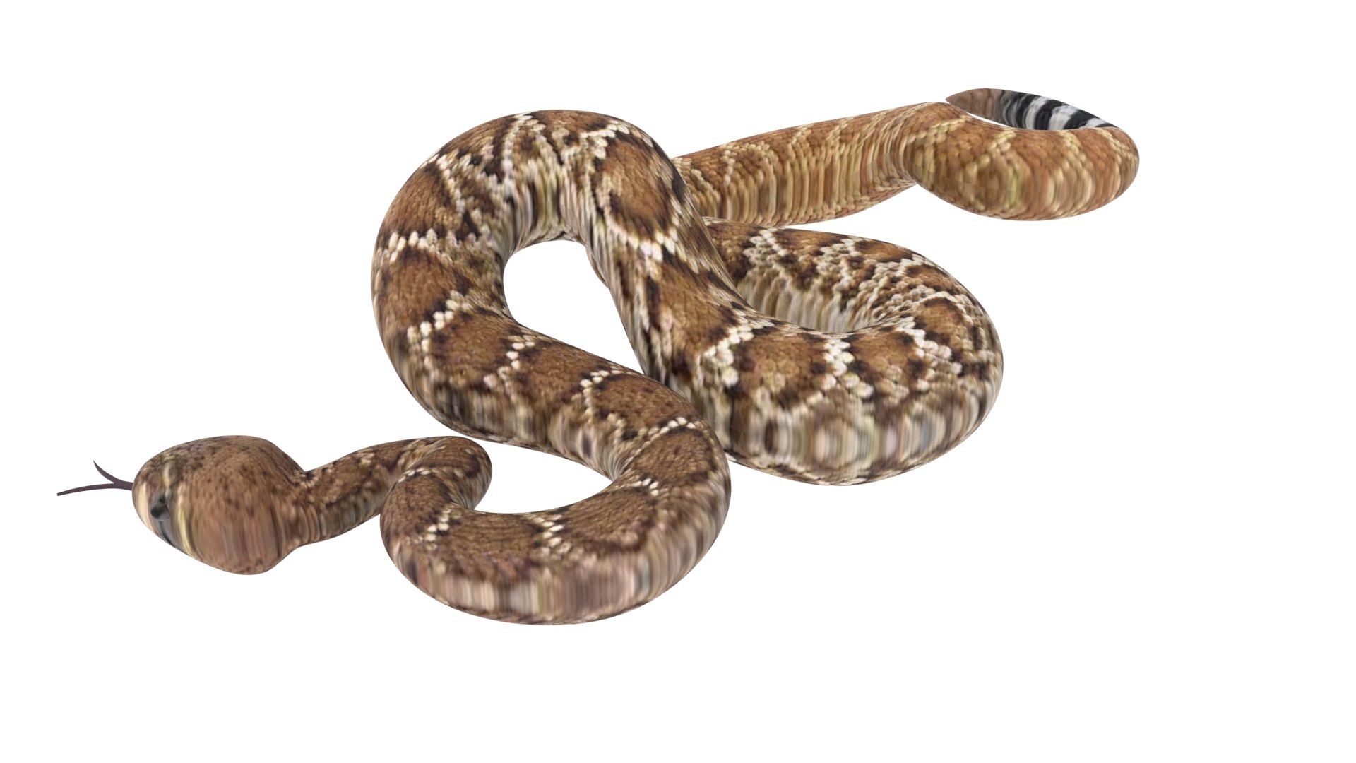Viper Snake 3D Model - TurboSquid 2245595