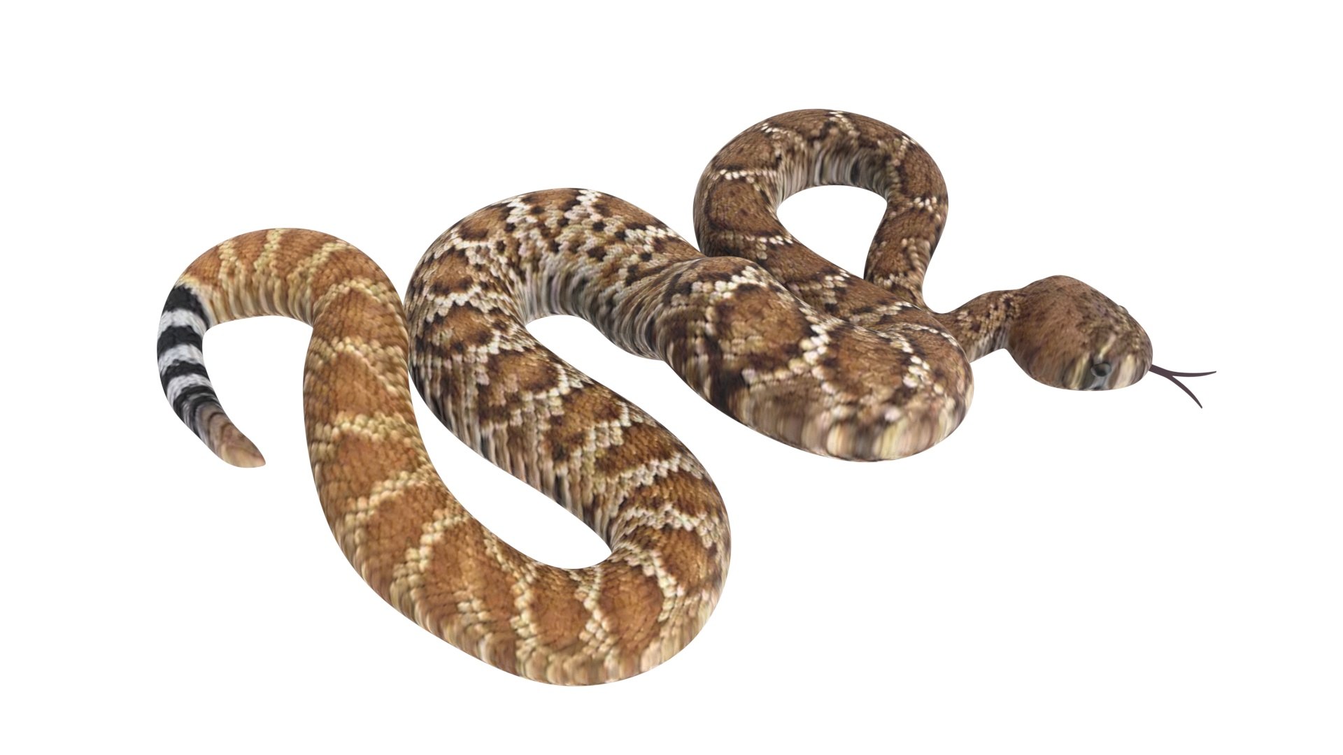 Viper Snake 3D Model - TurboSquid 2245595