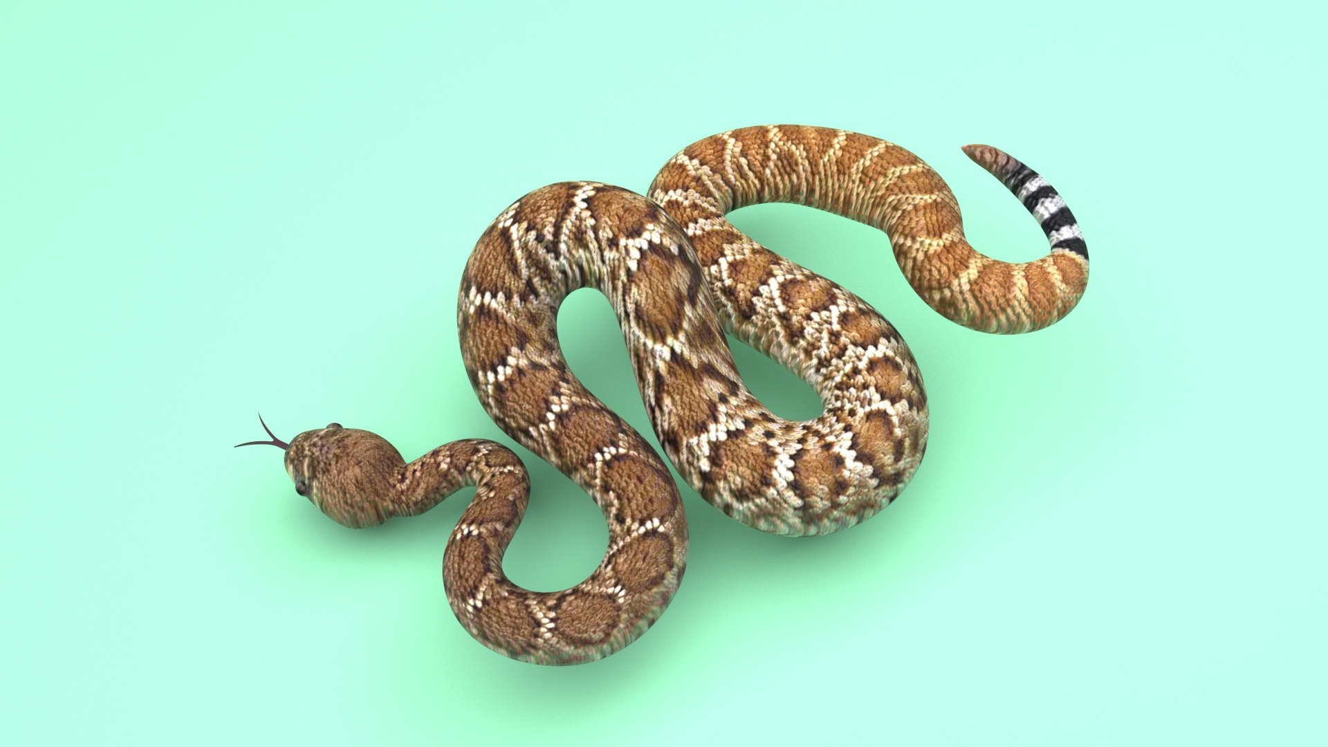 Viper Snake 3D Model - TurboSquid 2245595