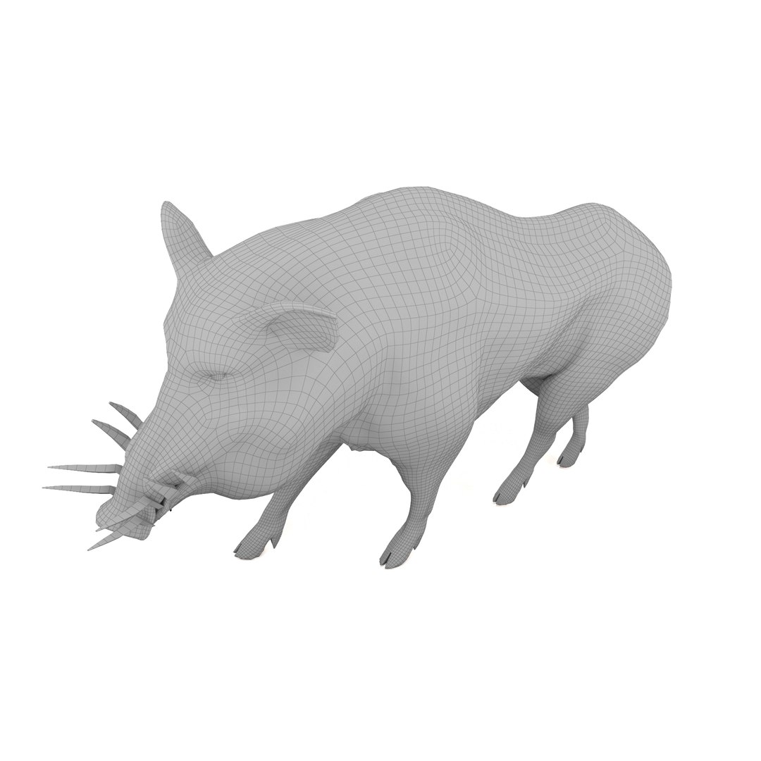 Fabric Wild Boar 3D model - TurboSquid 1904343