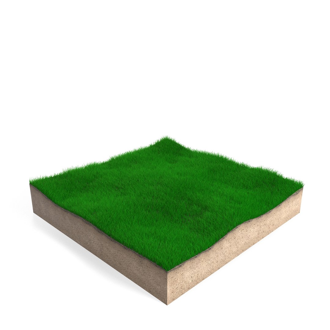 Max Rectangular Grass Patch