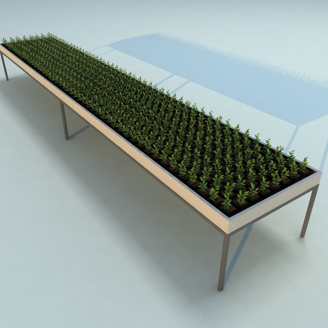 Seedling Table 3d Model