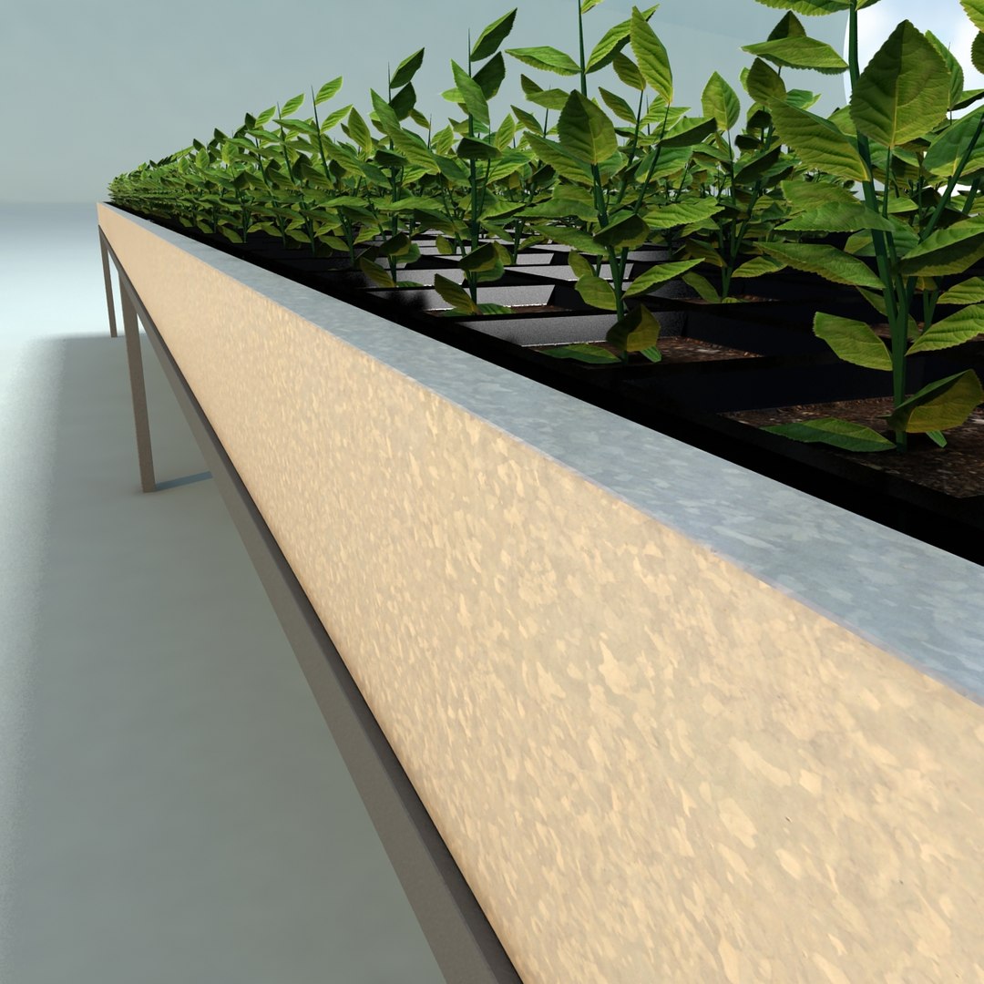 Seedling Table 3d Model