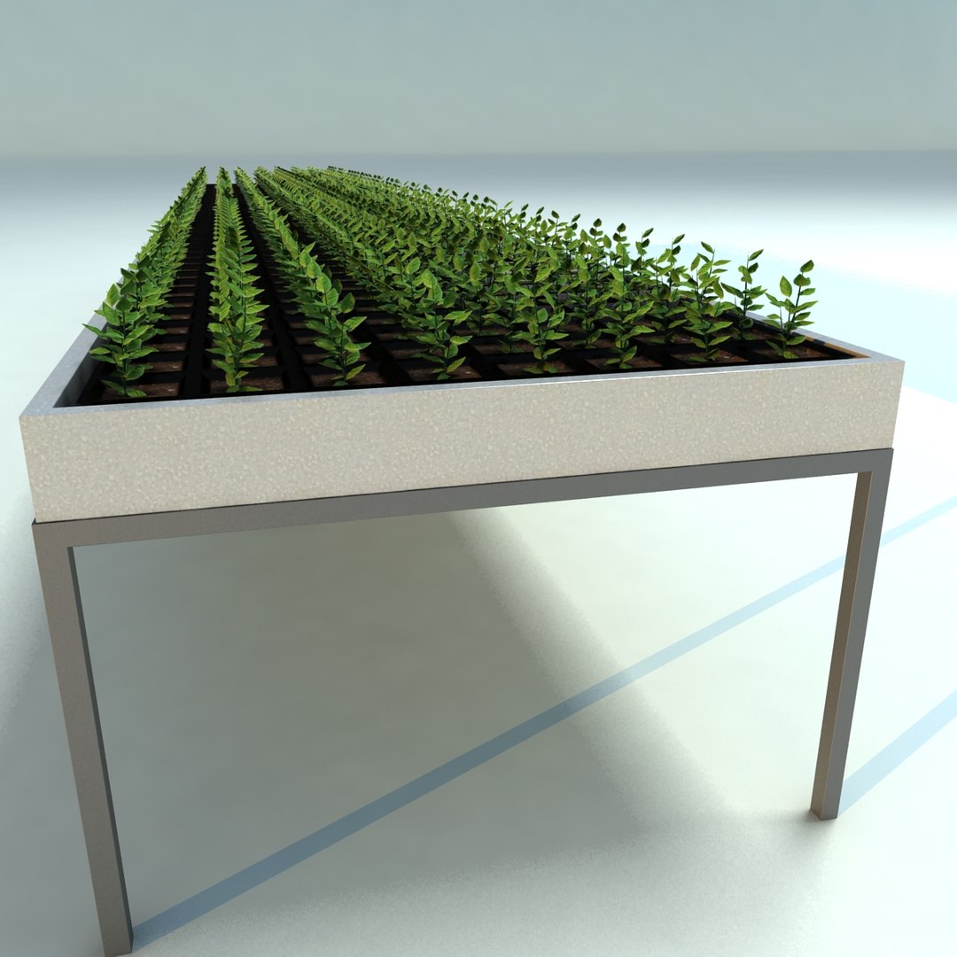 Seedling Table 3d Model
